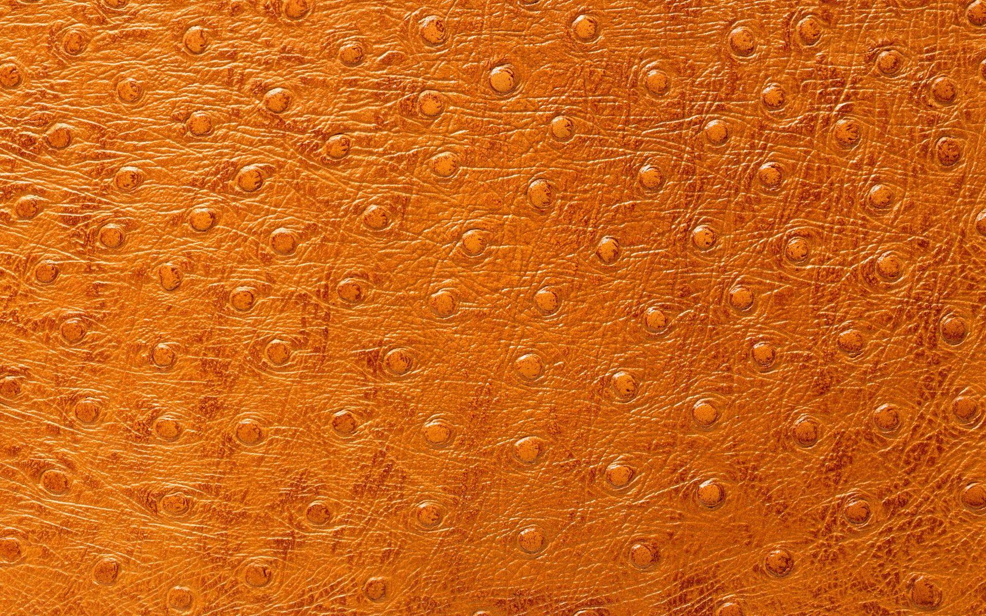 Animal Skin Desktop Wallpapers - Top Free Animal Skin Desktop ...