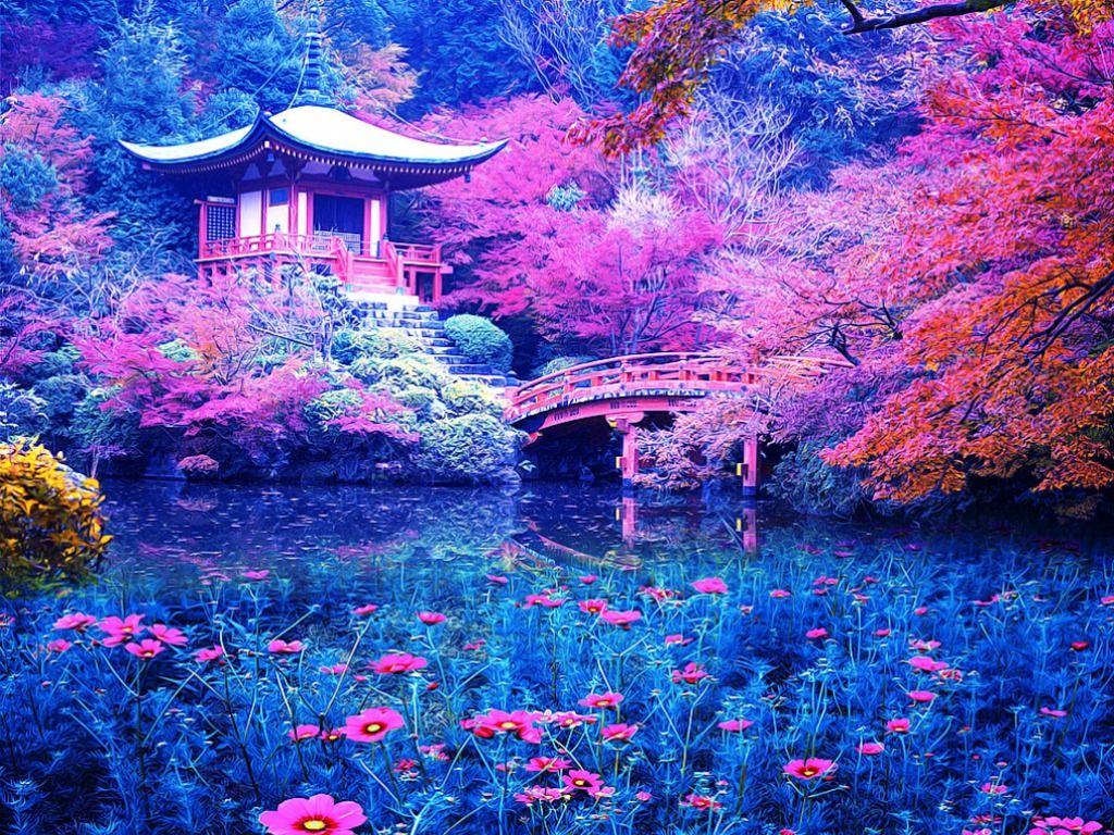 Beautiful Magic Wallpapers - Top Free Beautiful Magic Backgrounds ...