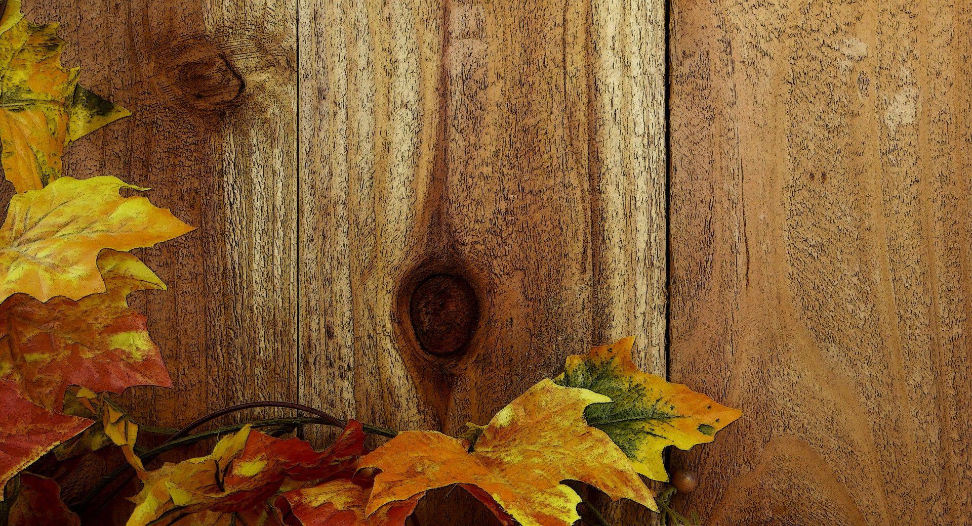 Fall Wood Wallpapers - Top Free Fall Wood Backgrounds - WallpaperAccess