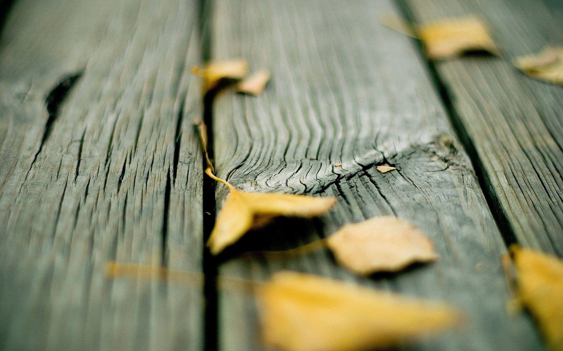 Fall Wood Wallpapers - Top Free Fall Wood Backgrounds - WallpaperAccess