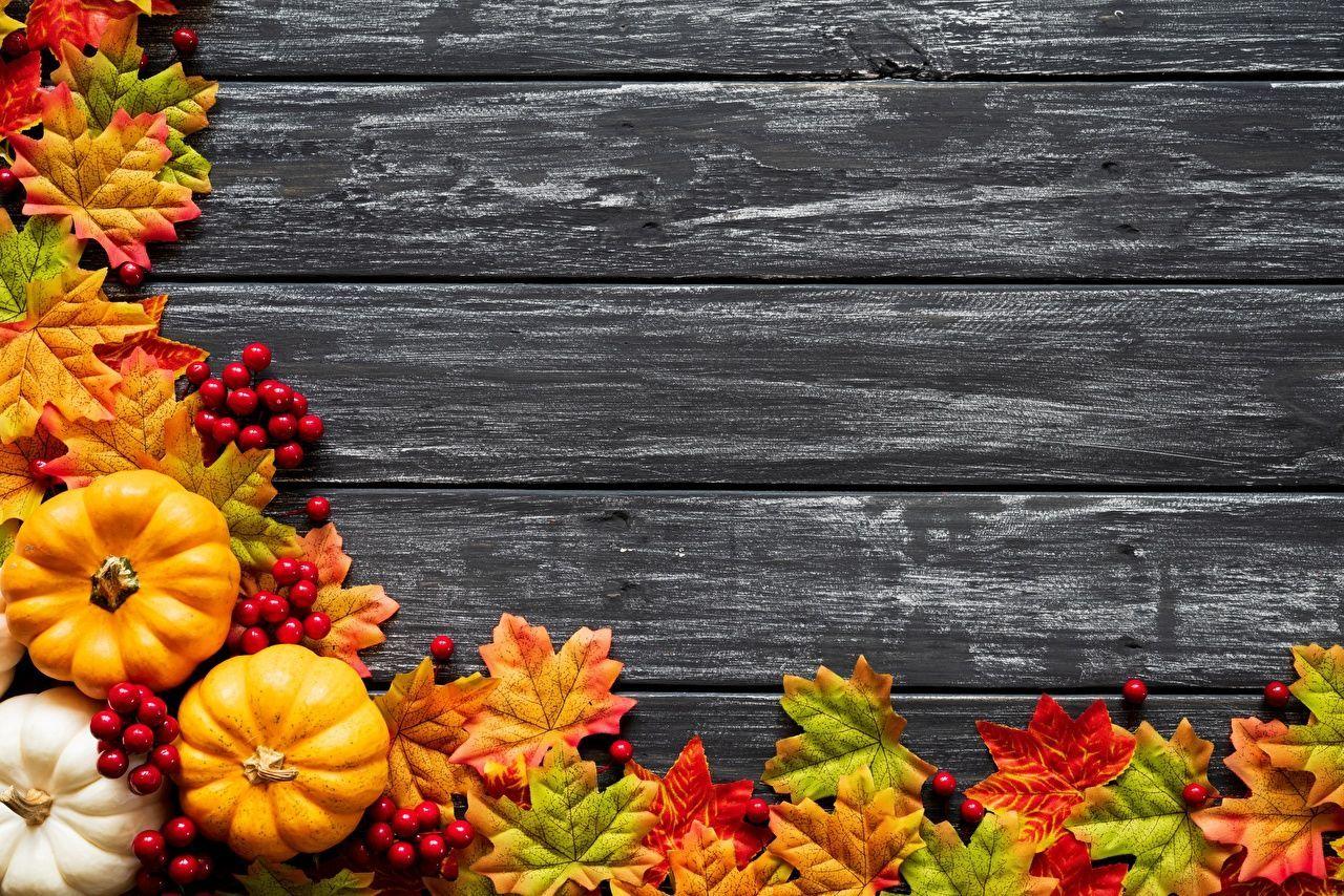 Fall Wood Wallpapers - Top Free Fall Wood Backgrounds - WallpaperAccess