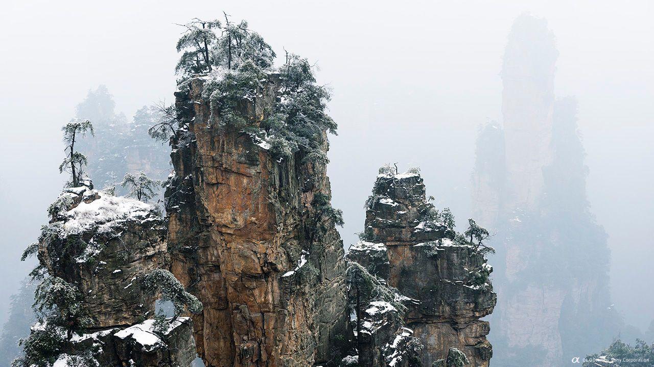 Sony Alpha Wallpapers - Top Free Sony Alpha Backgrounds - WallpaperAccess