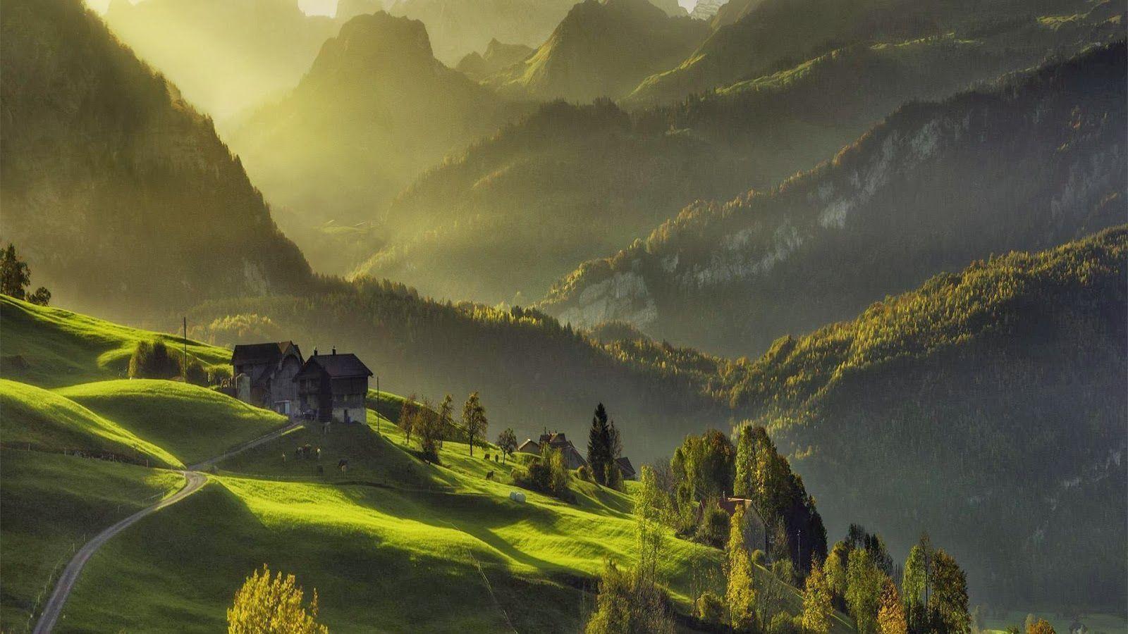 Celtic Forest Wallpapers - Top Free Celtic Forest Backgrounds ...