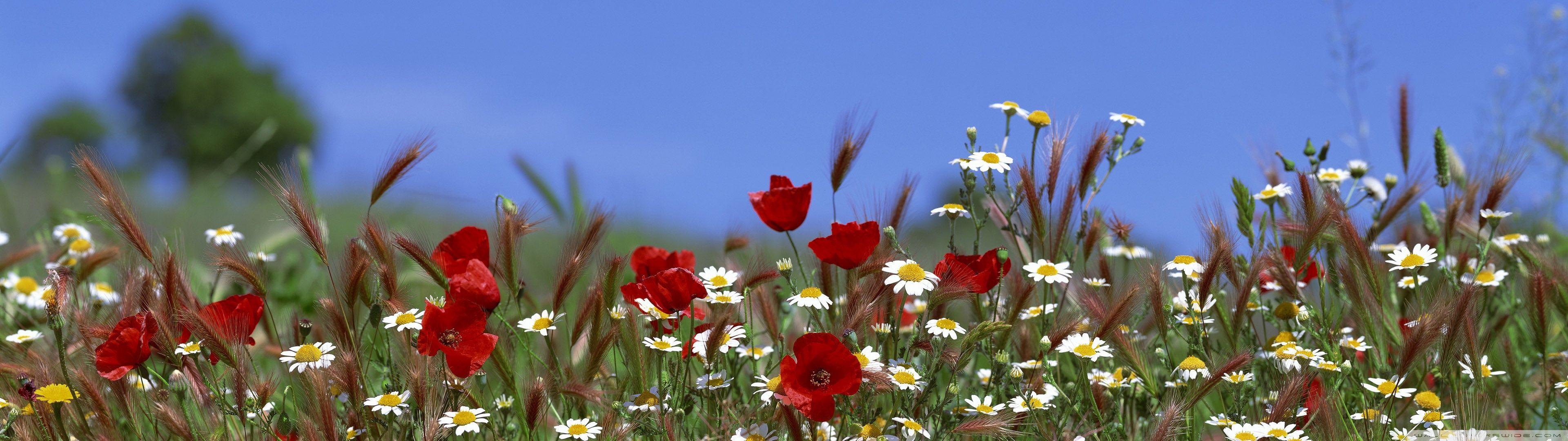 3840 X 1080 High Resolution Panorama Wallpapers - Top Free 3840 X 1080 ...