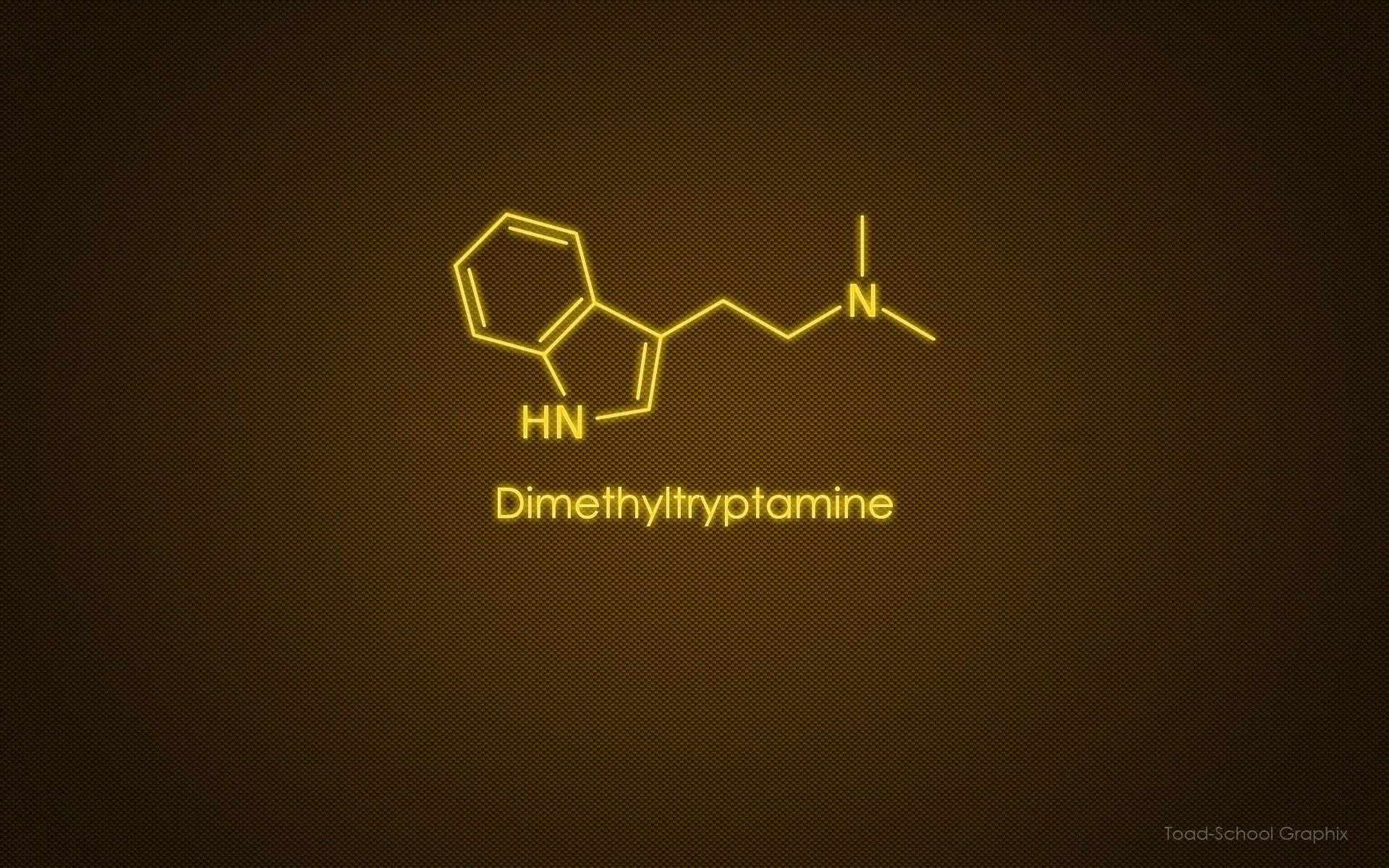 Dopamine Wallpapers - Top Free Dopamine Backgrounds - WallpaperAccess