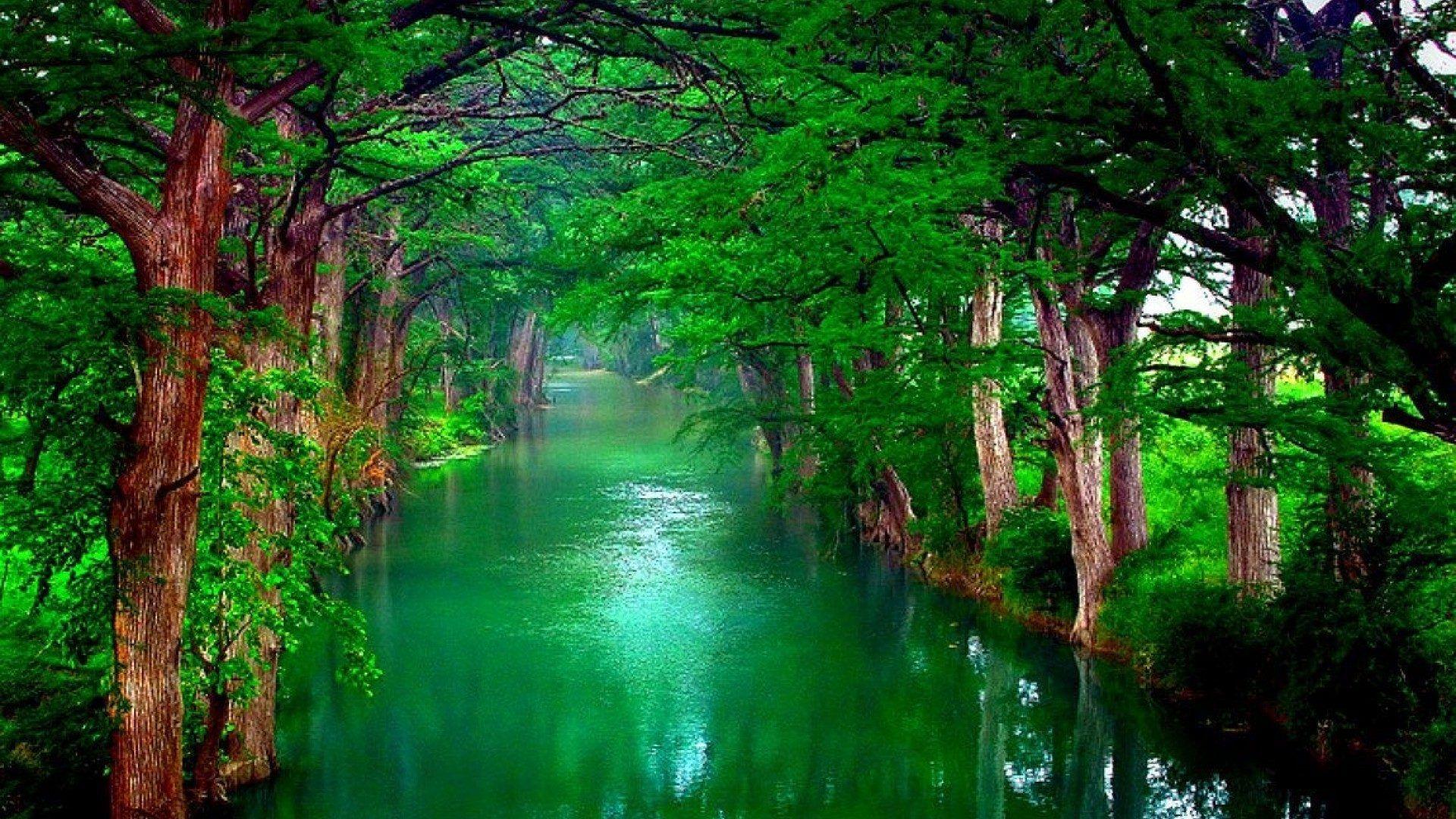4K Natural Wallpapers - Top Free 4K Natural Backgrounds - WallpaperAccess