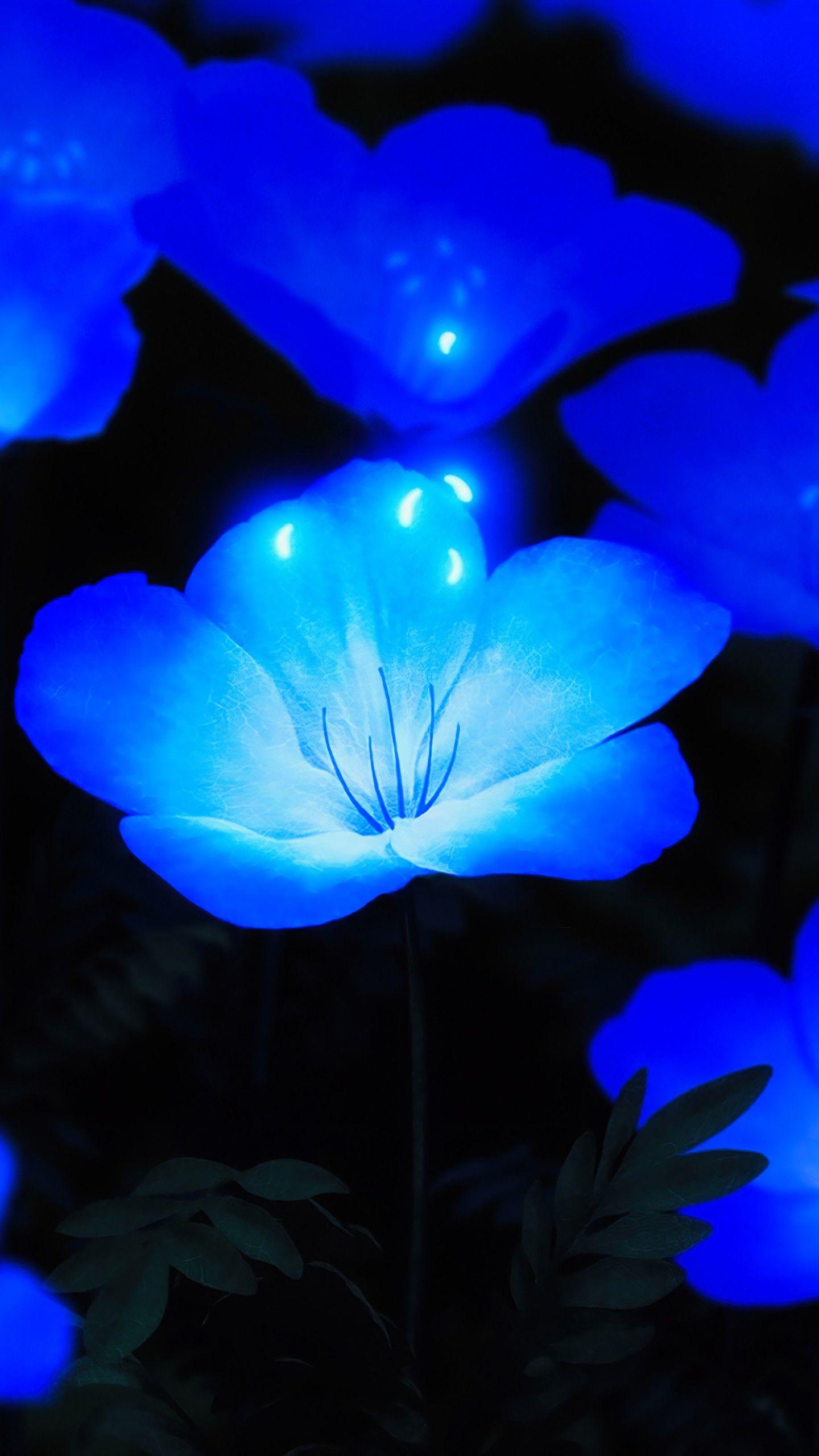 Cute Blue Flower Wallpapers - Top Free Cute Blue Flower Backgrounds ...