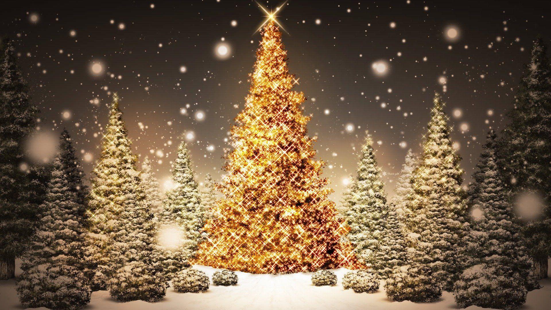Aesthetic Christmas Tree Wallpapers - Top Free Aesthetic Christmas Tree ...