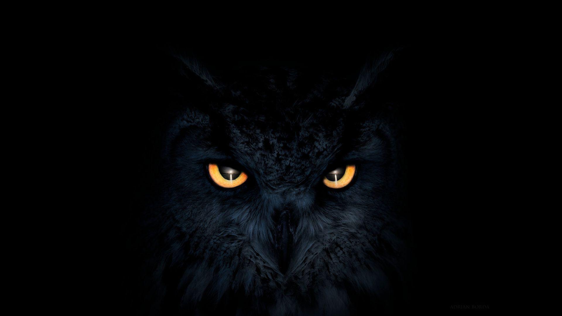 Dark Eyes Wallpapers - Top Free Dark Eyes Backgrounds - WallpaperAccess