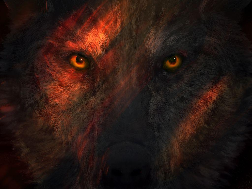 Wolf Red Eyes Wallpapers - Top Free Wolf Red Eyes Backgrounds ...