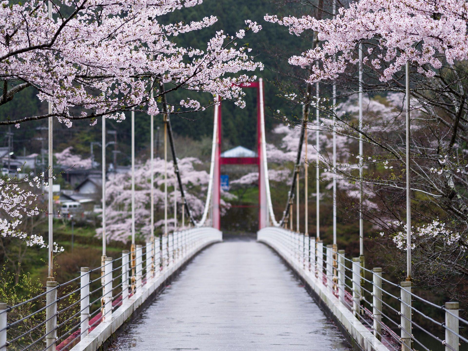Spring Bridge Wallpapers - Top Free Spring Bridge Backgrounds ...