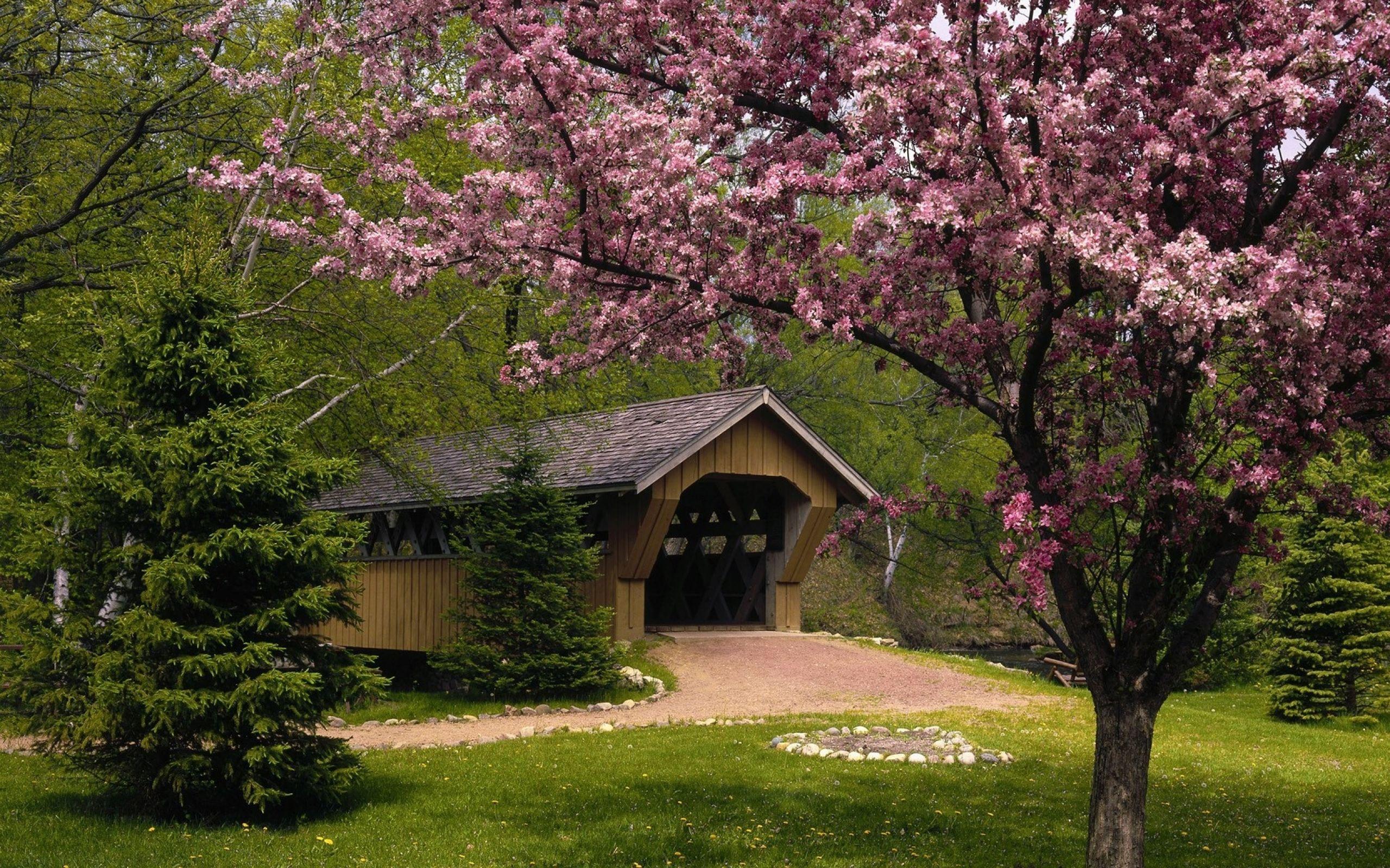 Spring Bridge Wallpapers - Top Free Spring Bridge Backgrounds ...