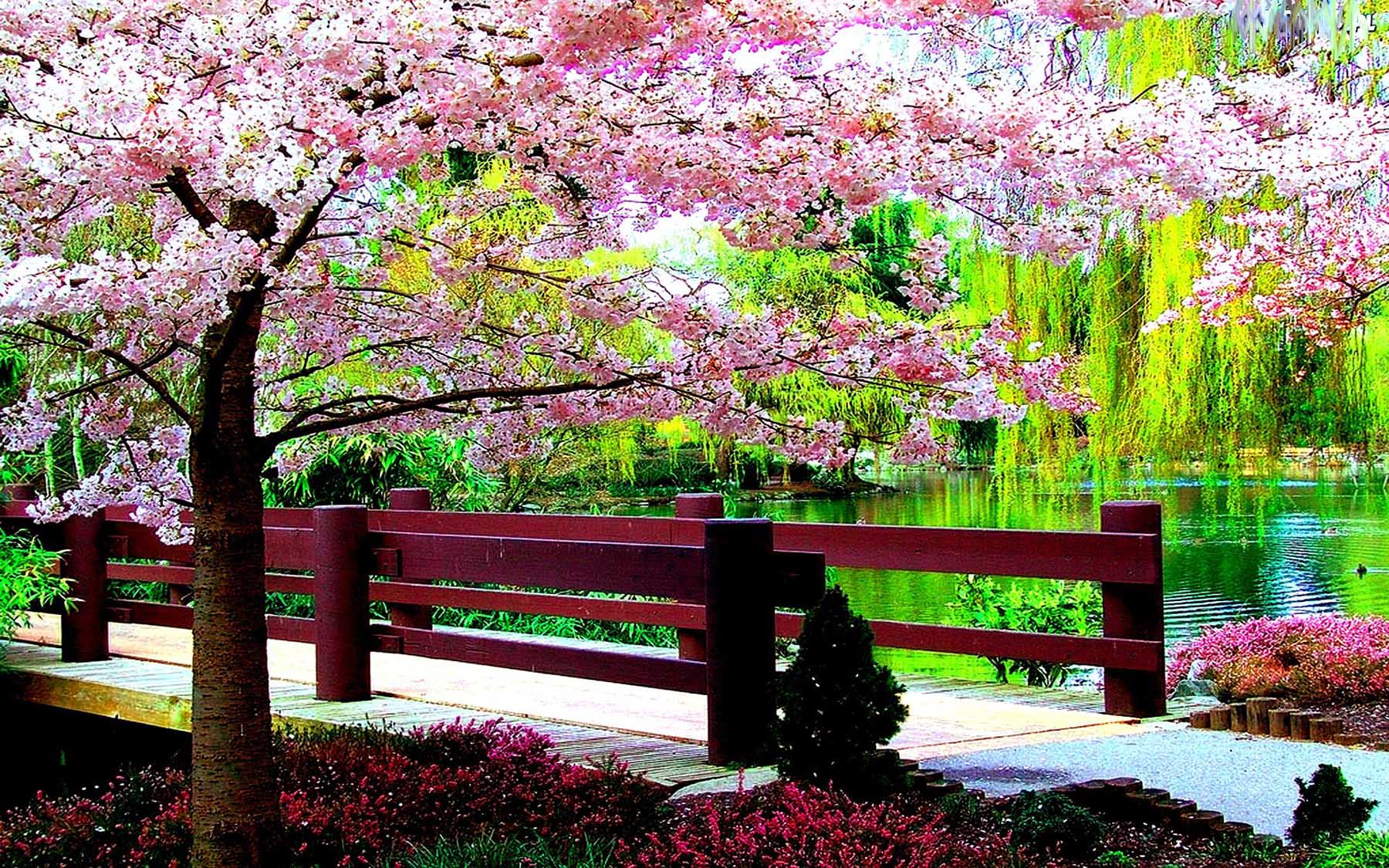 Spring Bridge Wallpapers - Top Free Spring Bridge Backgrounds ...