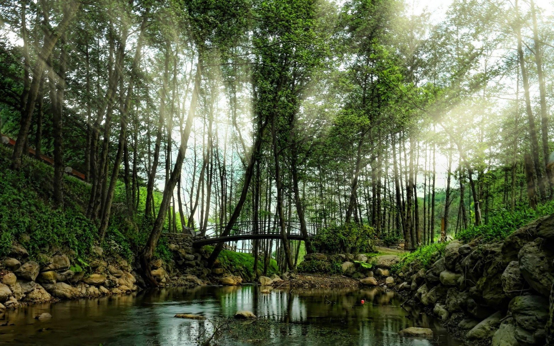 Spring Bridge Wallpapers - Top Free Spring Bridge Backgrounds ...