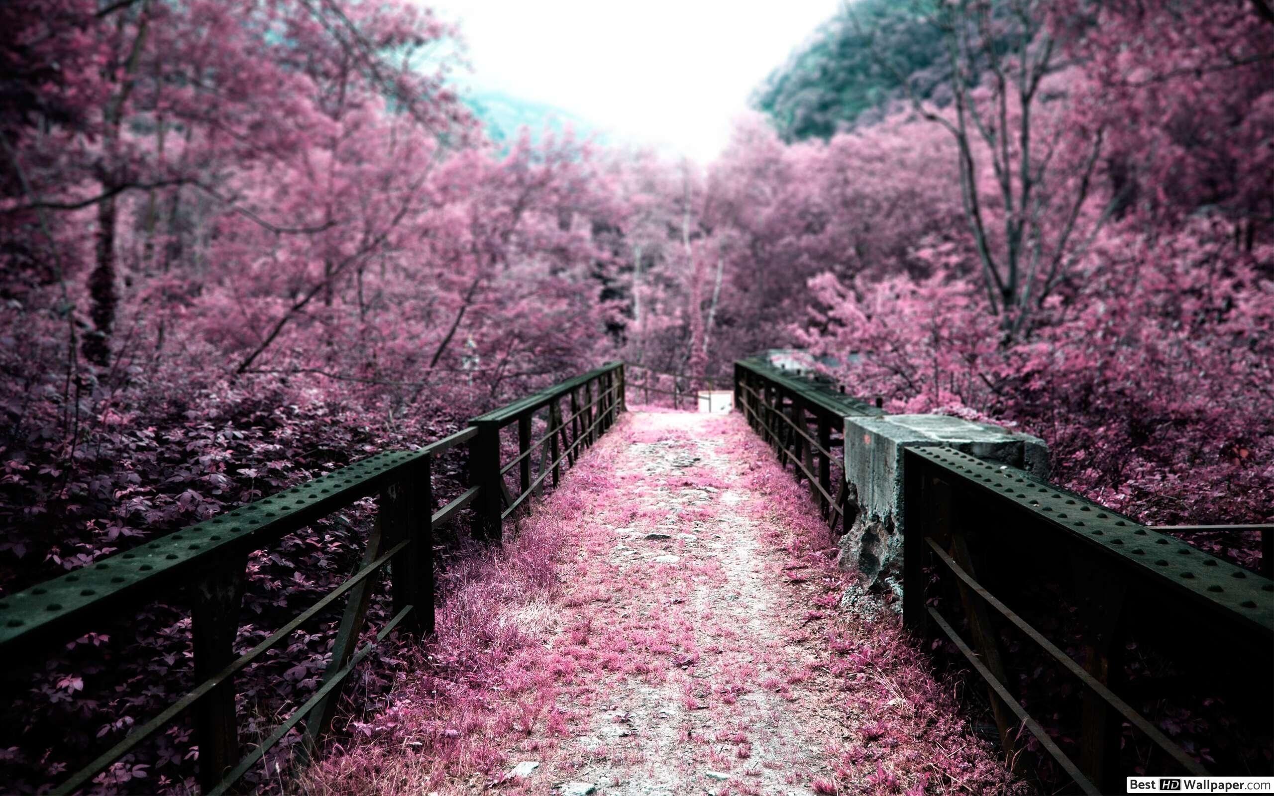 Spring Bridge Wallpapers - Top Free Spring Bridge Backgrounds ...