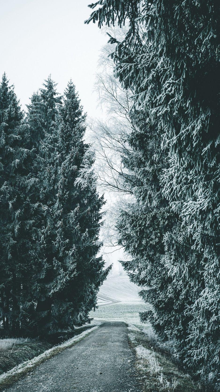Snowy Road Wallpapers - Top Free Snowy Road Backgrounds - WallpaperAccess