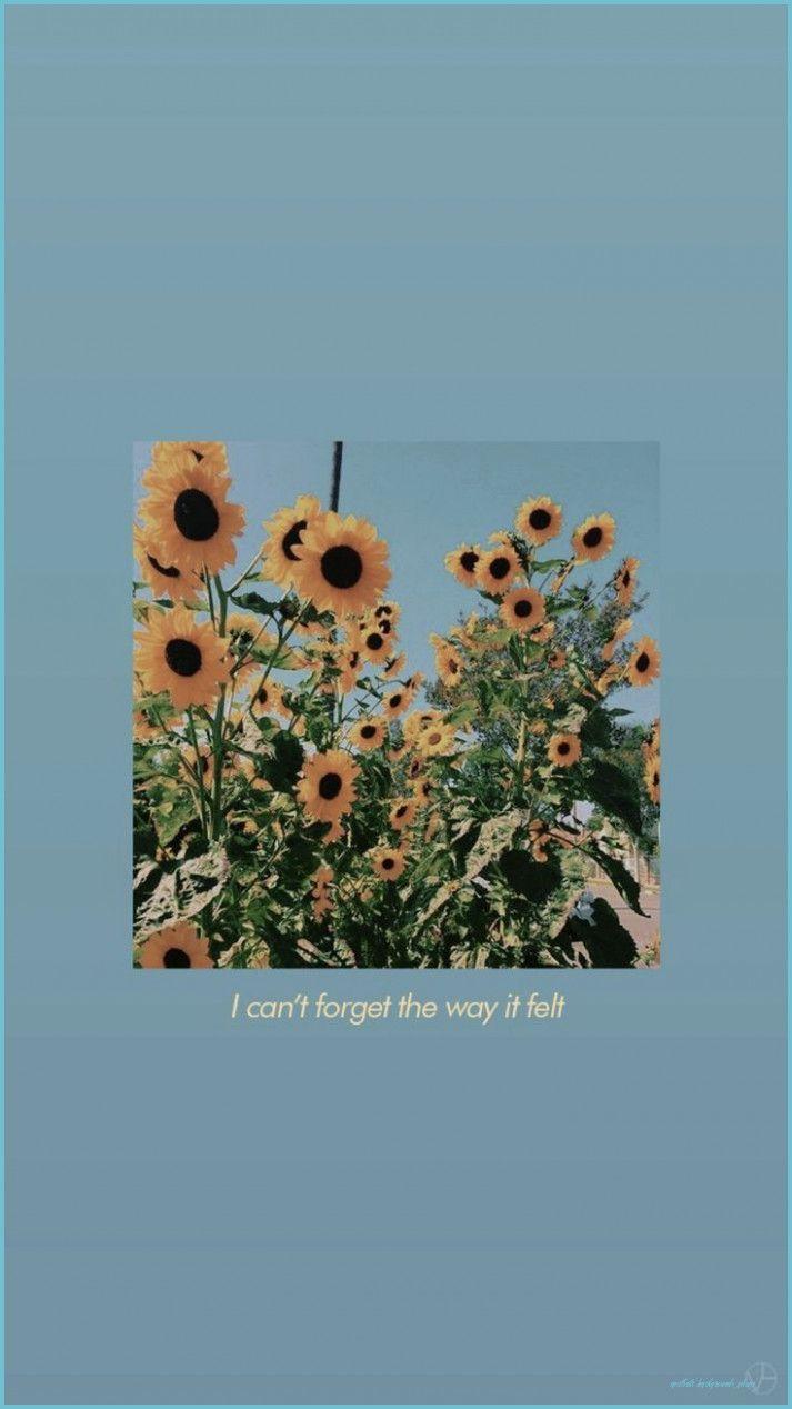 Xoxo iPhone Wallpapers - Top Free Xoxo iPhone Backgrounds - WallpaperAccess