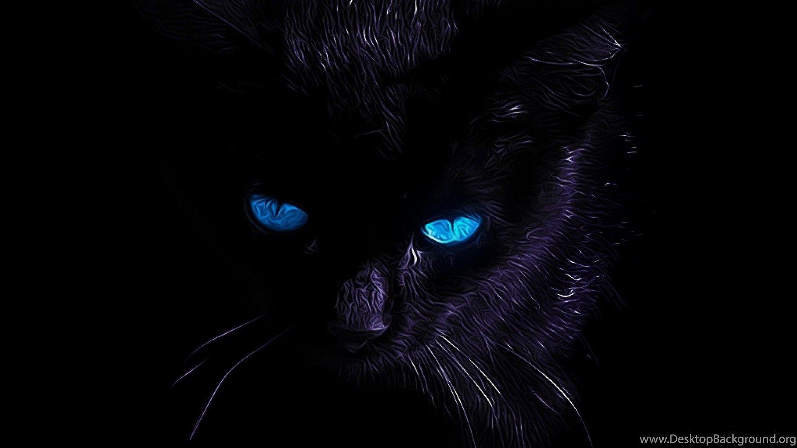Black Cat 1600 X 900 Wallpapers - Top Free Black Cat 1600 X 900 ...