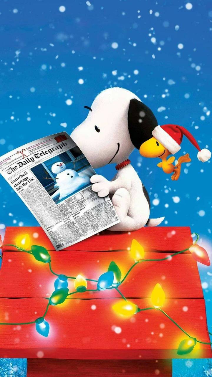 Snoopy Christmas HD Wallpapers - Top Free Snoopy Christmas HD ...