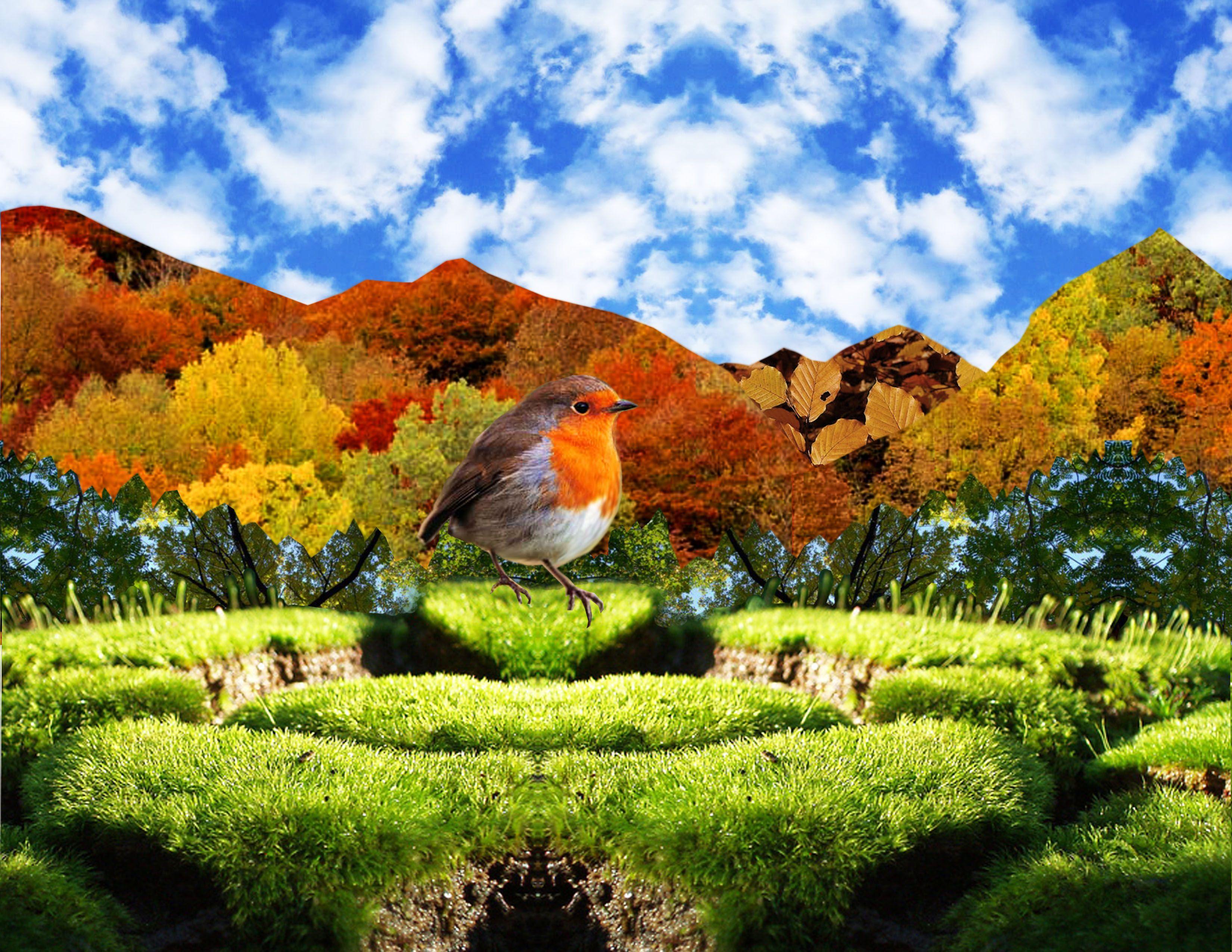 Nature Collage Wallpapers - Top Free Nature Collage Backgrounds ...
