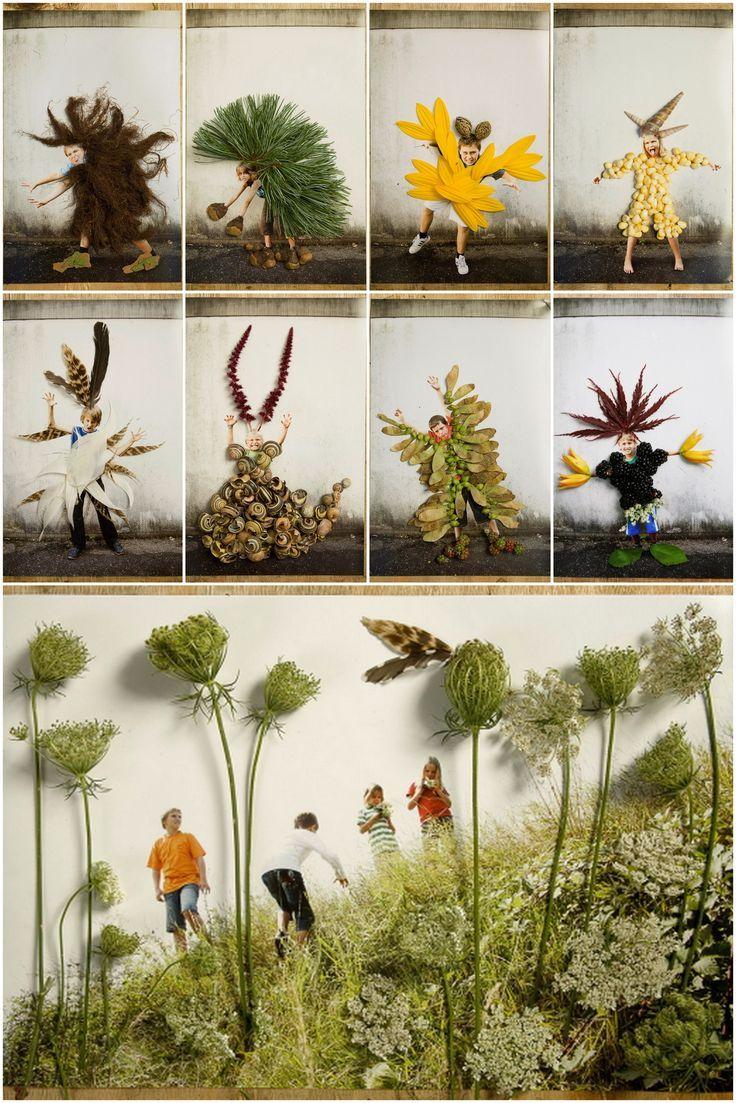 Nature Collage Wallpapers - Top Free Nature Collage Backgrounds ...