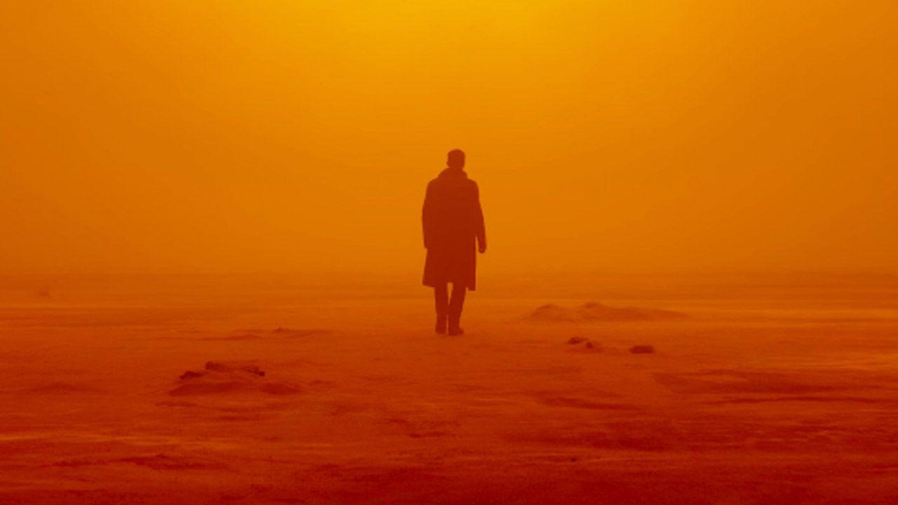 Life of Pi 4K Wallpapers - Top Free Life of Pi 4K Backgrounds ...