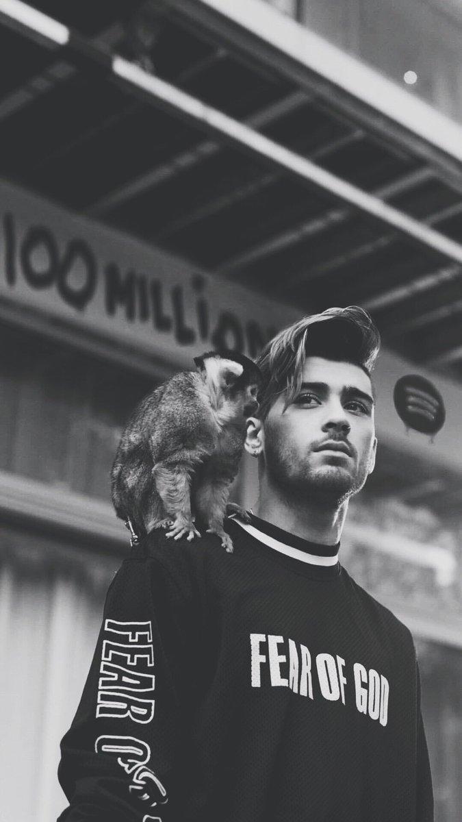 Zayn Malik Phone Wallpapers Top Free Zayn Malik Phone Backgrounds