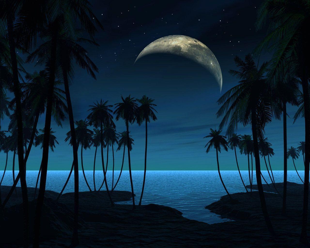 Night Time Beach Wallpapers - Top Free Night Time Beach Backgrounds ...