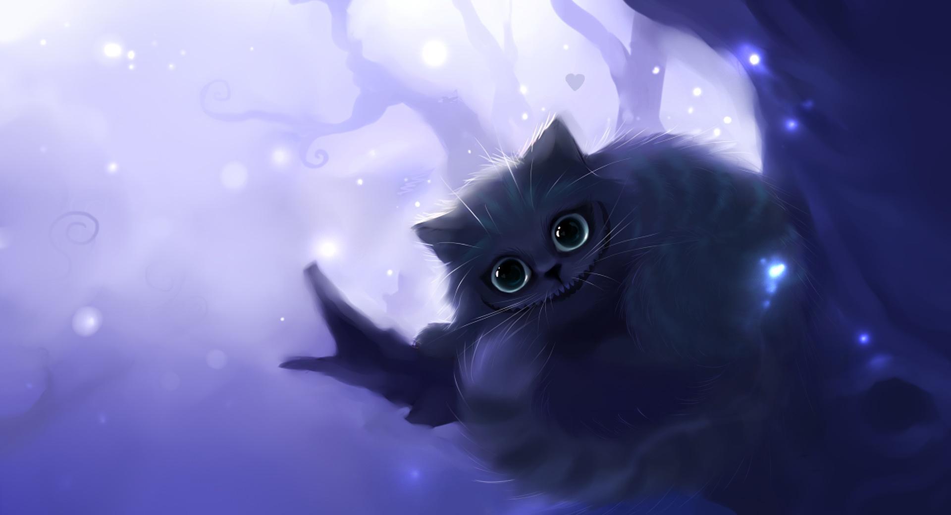 Cat Smile Wallpapers - Top Free Cat Smile Backgrounds - WallpaperAccess