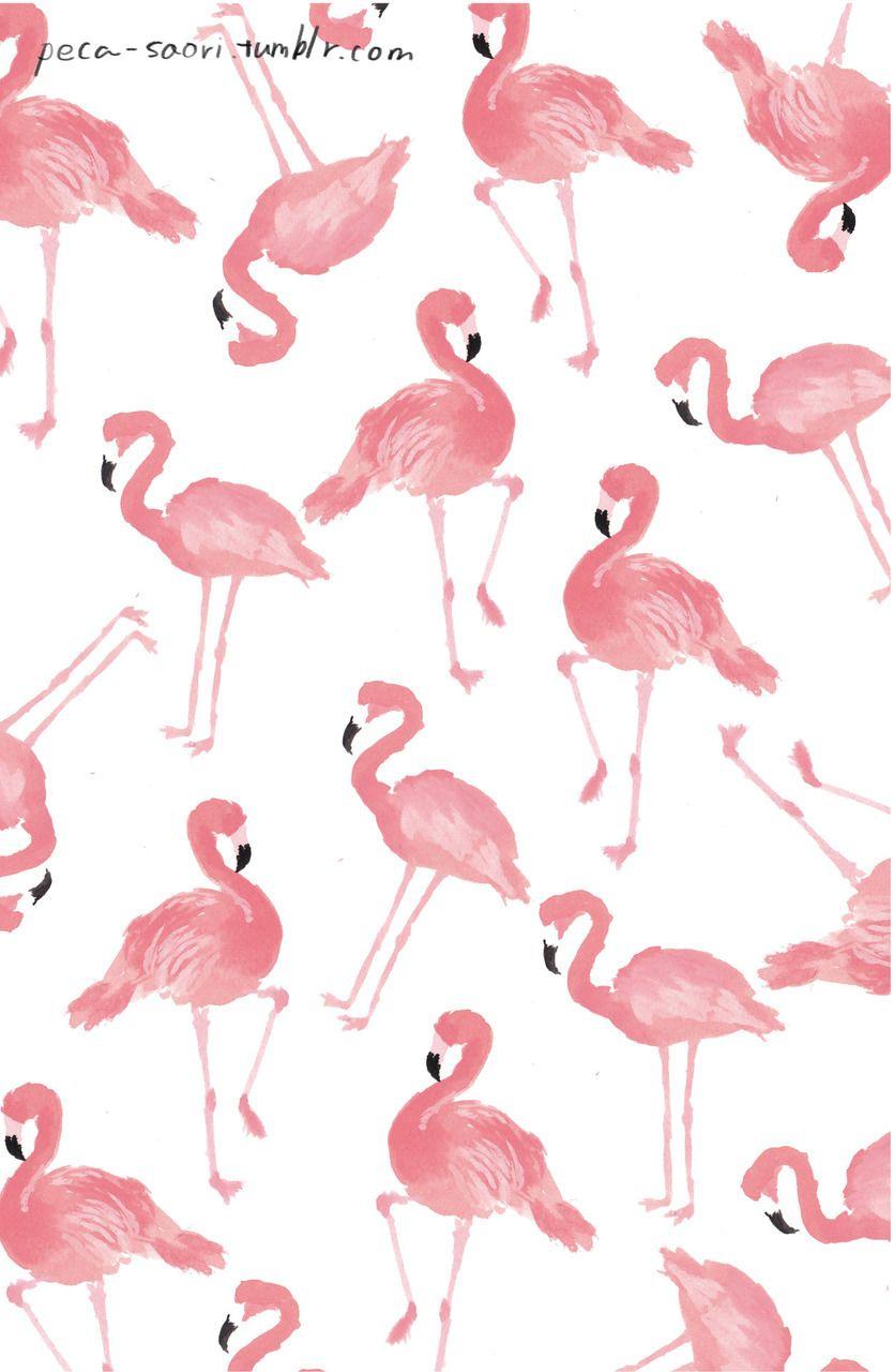 Pink Animals Wallpapers - Top Free Pink Animals Backgrounds ...