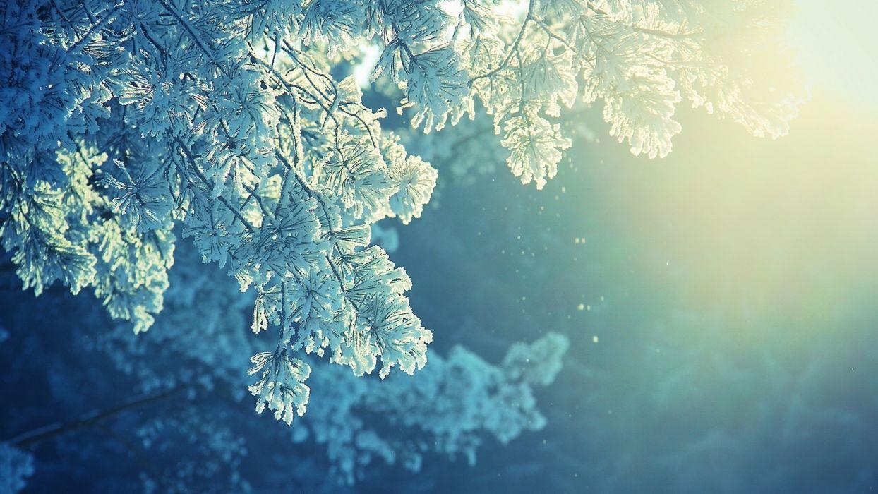 Light Snow Wallpapers - Top Free Light Snow Backgrounds - WallpaperAccess