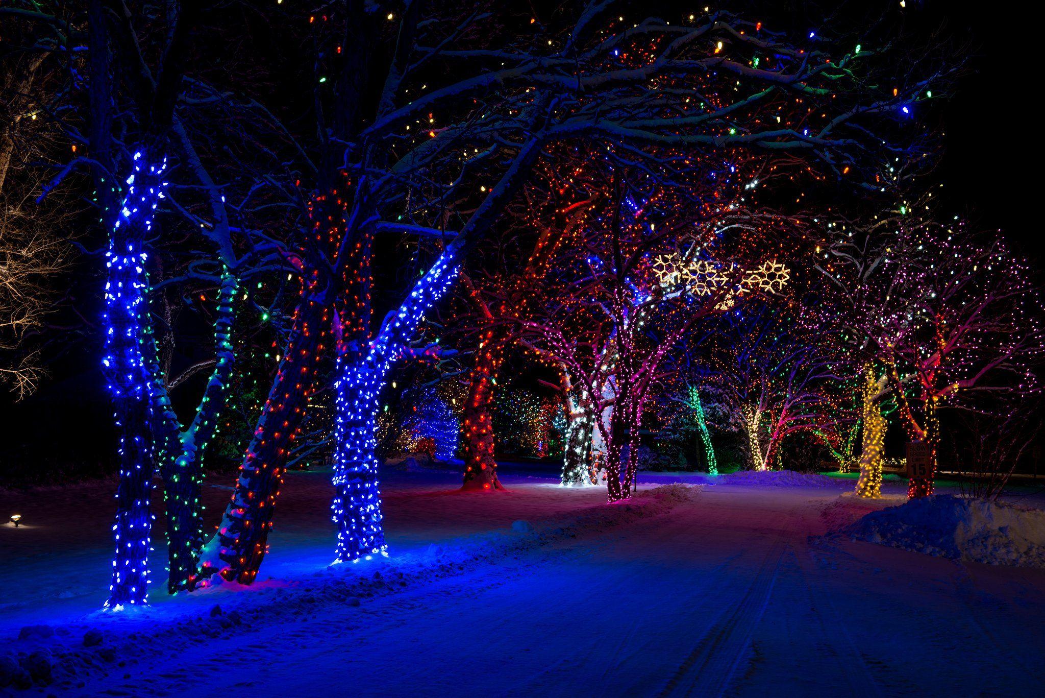 Lights Snow Wallpapers - Top Free Lights Snow Backgrounds - WallpaperAccess