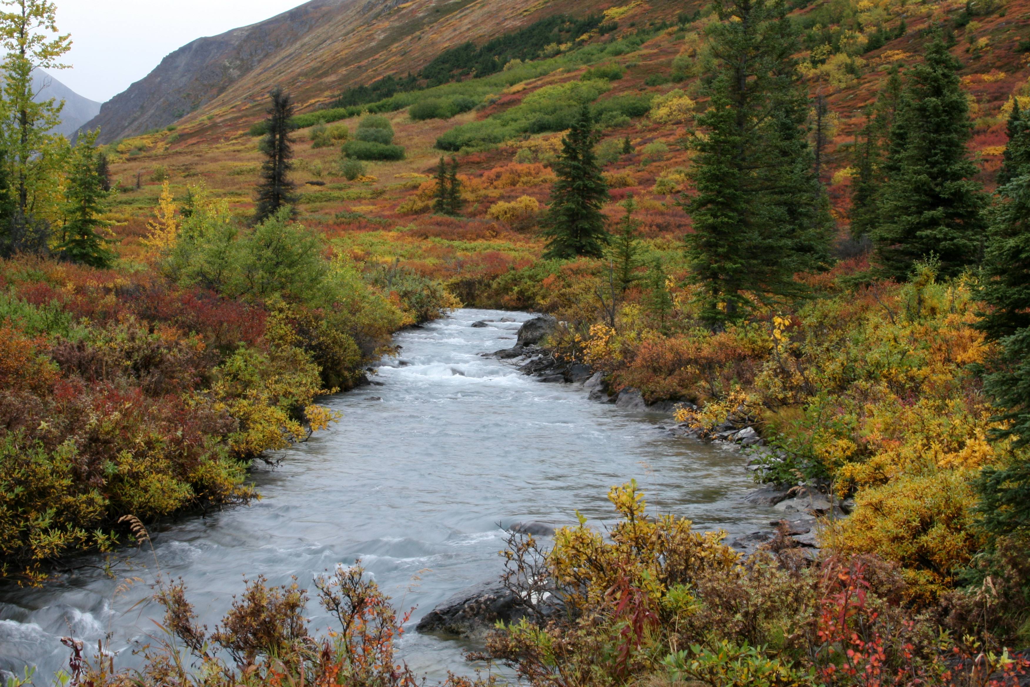 Alaska River Wallpapers - Top Free Alaska River Backgrounds ...