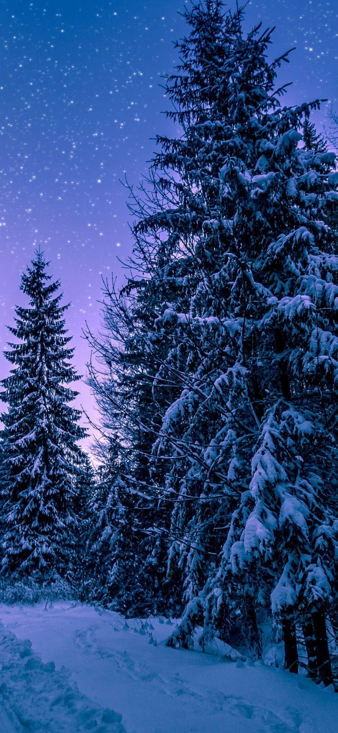 Winter Night iPhone Wallpapers - Top Free Winter Night iPhone ...