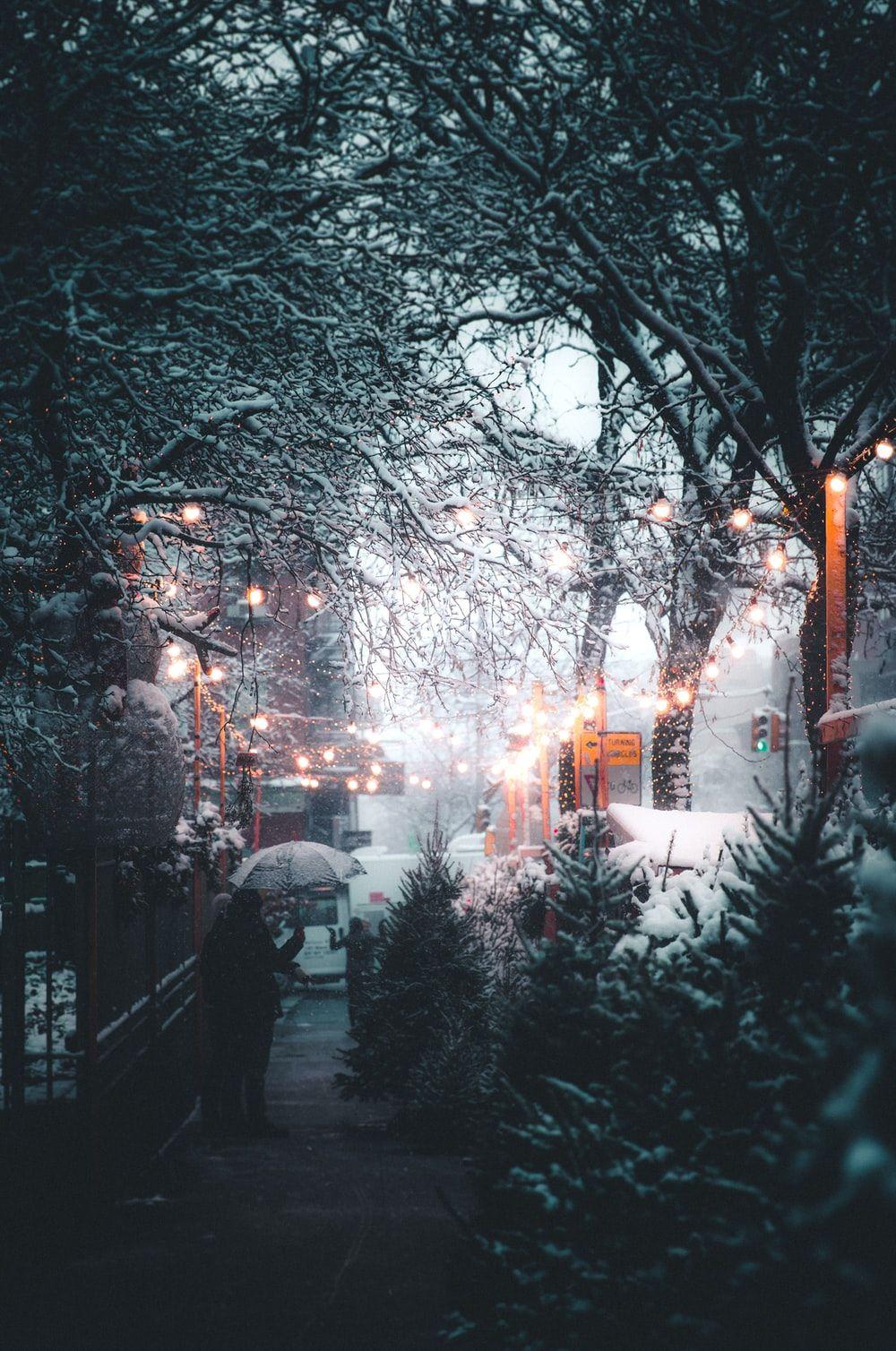 Winter Night iPhone Wallpapers - Top Free Winter Night iPhone ...