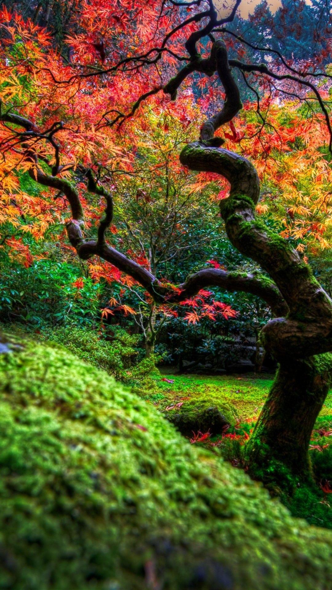 Green Japanese Wallpapers - Top Free Green Japanese Backgrounds ...