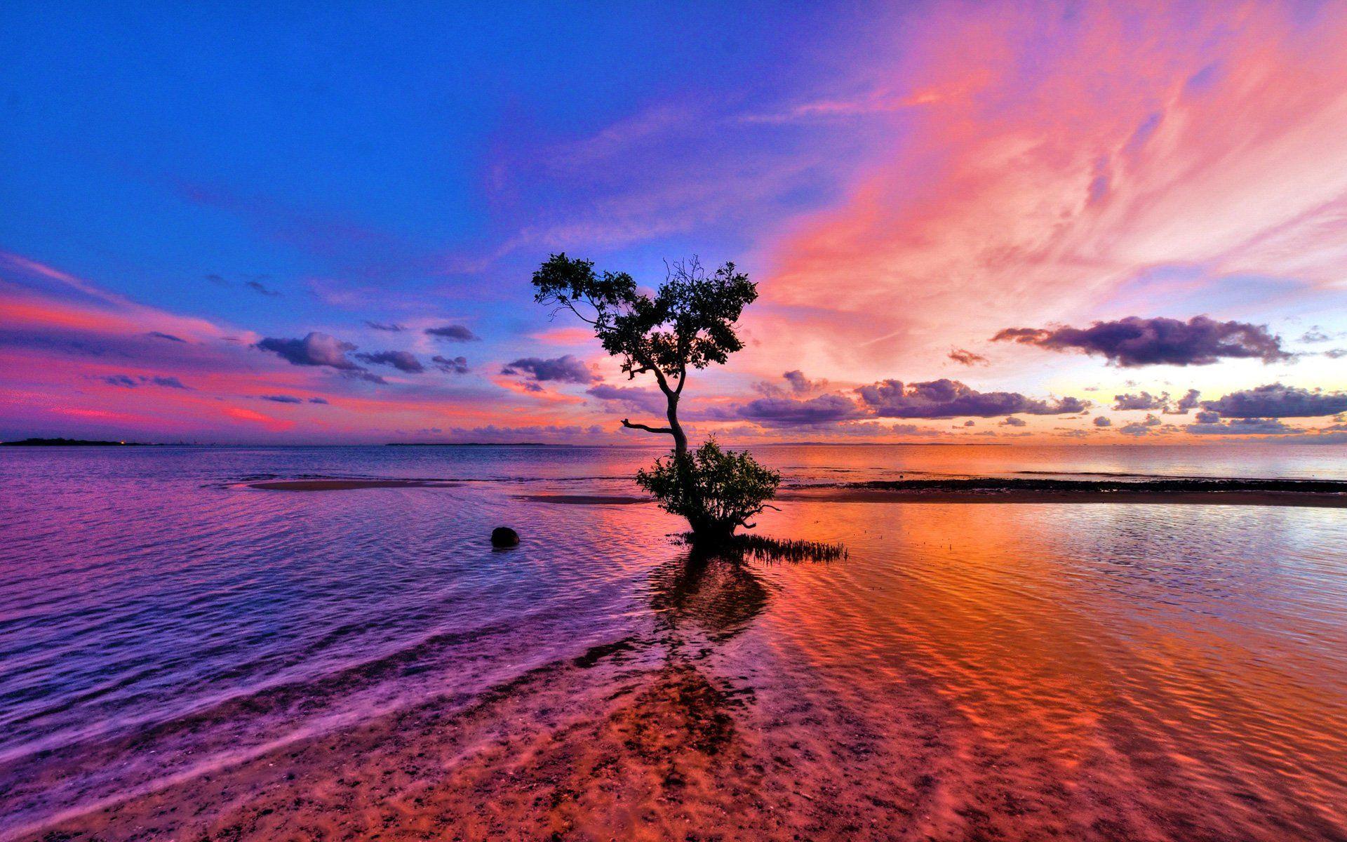 Pink Beach Sunset HD Wallpapers - Top Free Pink Beach Sunset HD ...
