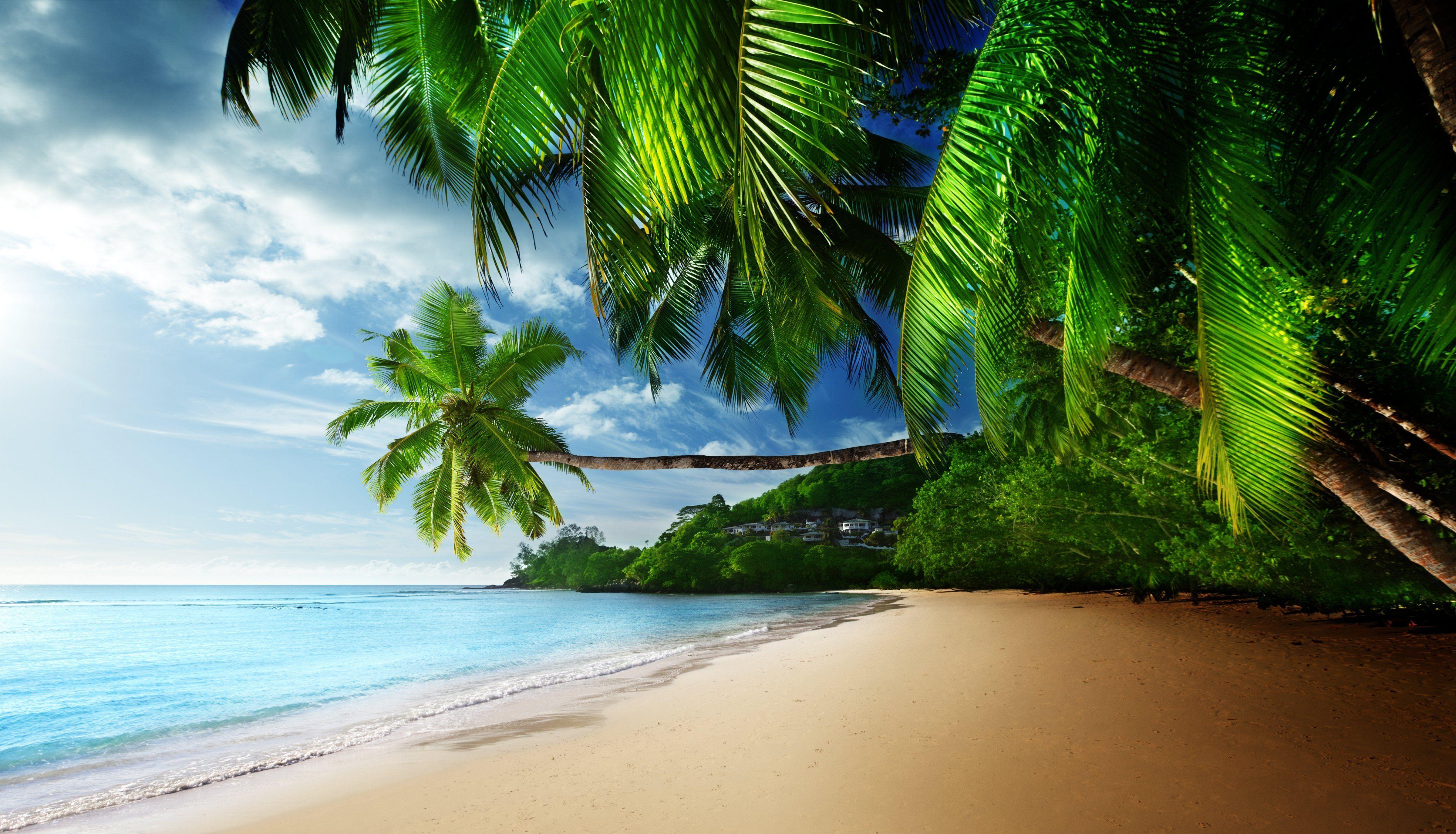 Paradise Beach Sunset HD Wallpapers - Top Free Paradise Beach Sunset HD ...