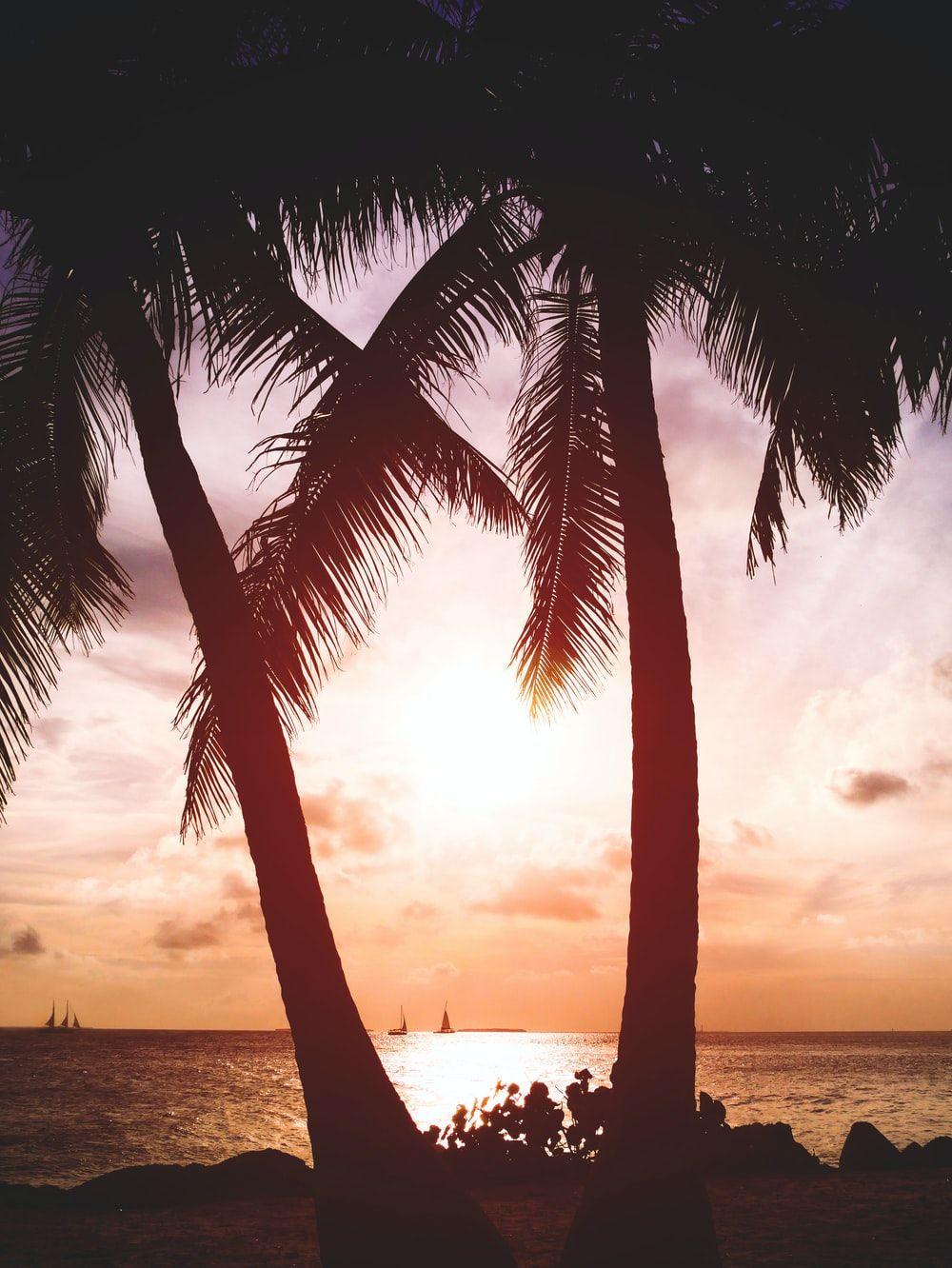 Tropical Beach Sunset HD Wallpapers - Top Free Tropical Beach Sunset HD ...