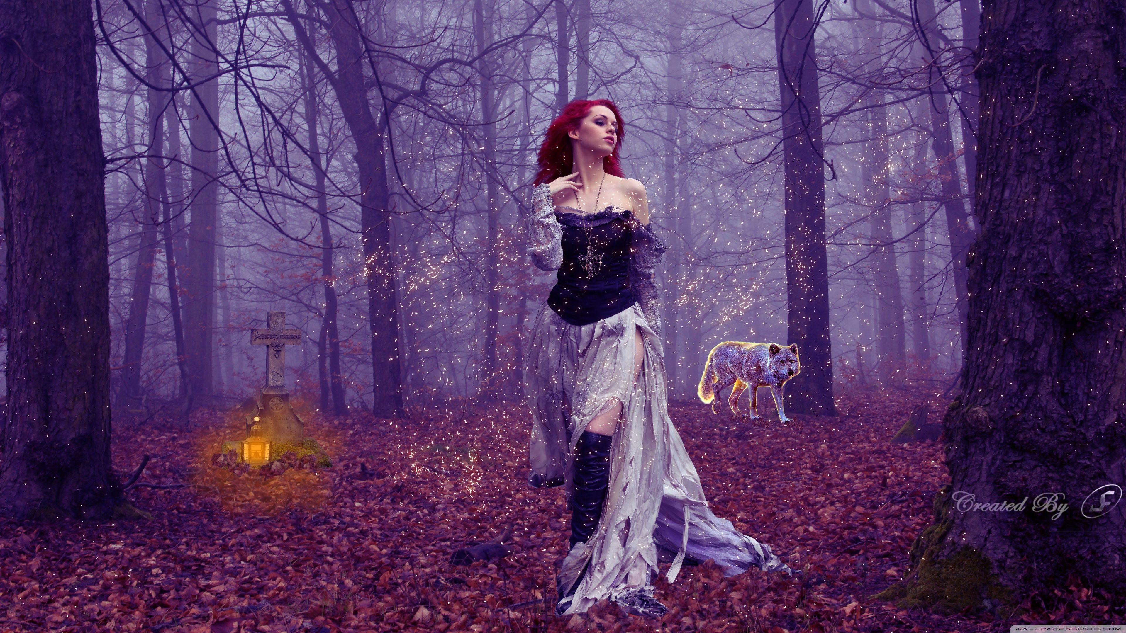 Magical Forest 4K Wallpapers - Top Free Magical Forest 4K Backgrounds ...