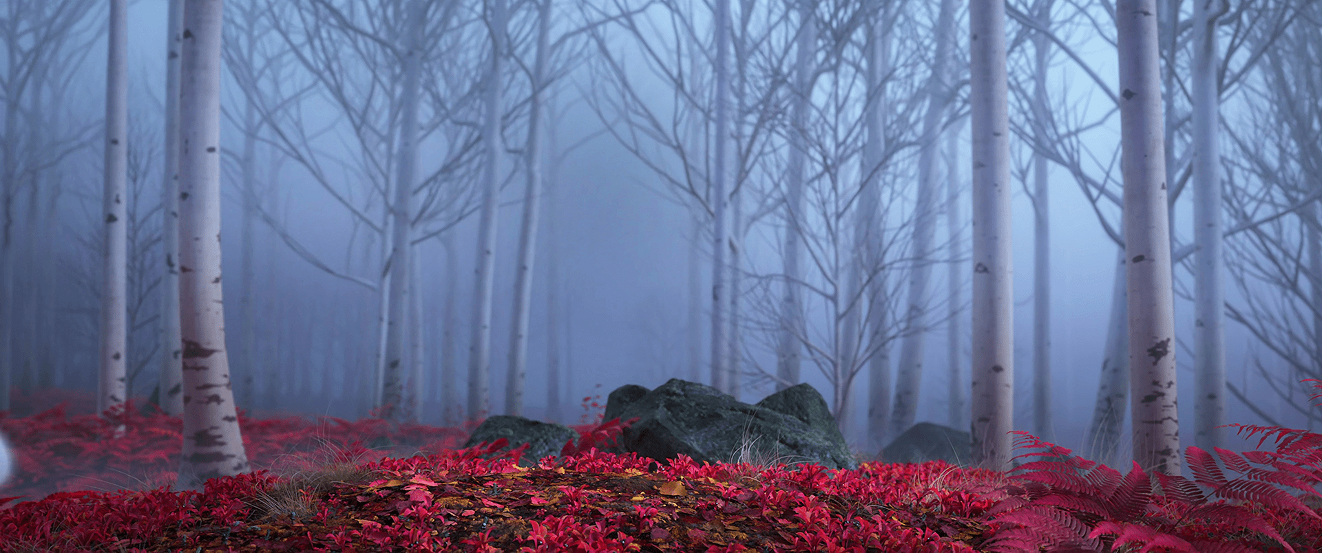 Magical Forest 4K Wallpapers - Top Free Magical Forest 4K Backgrounds ...