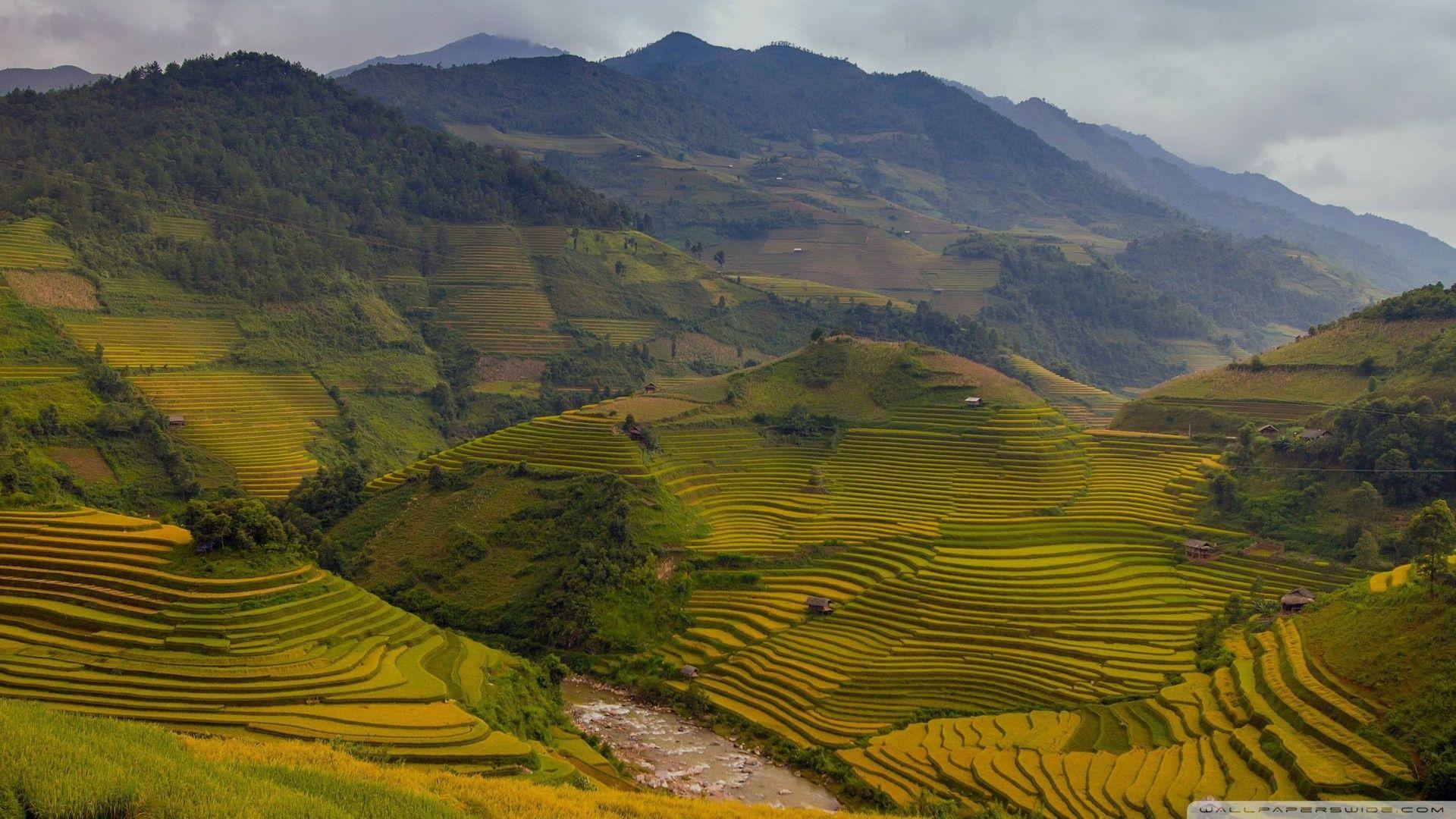 Rice Terraces HD Wallpapers - Top Free Rice Terraces HD Backgrounds ...