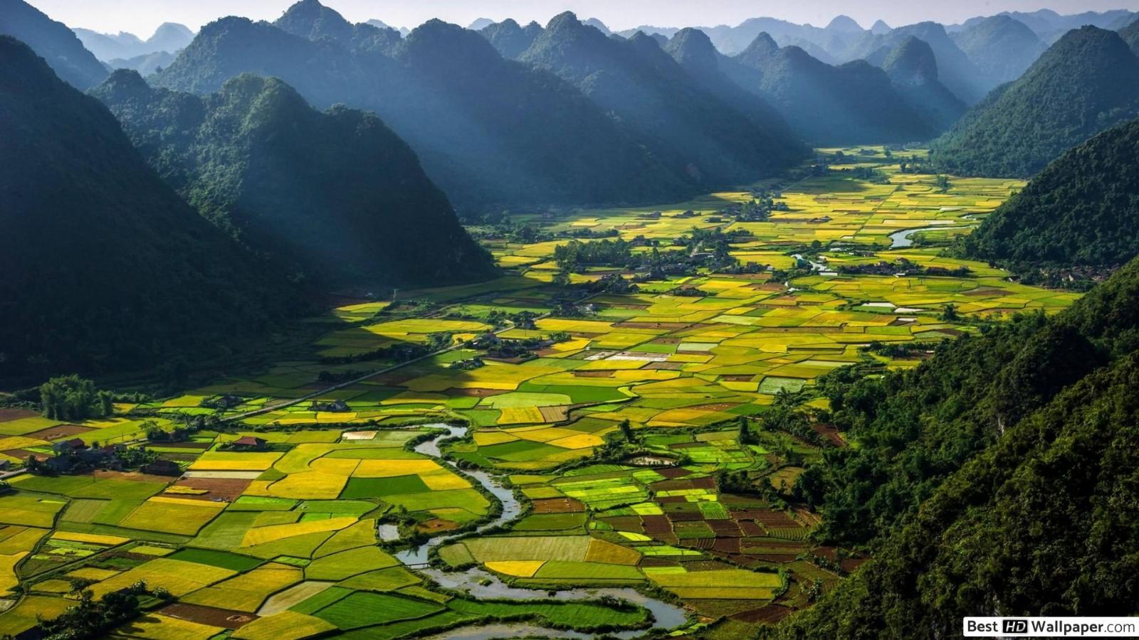 Rice Terraces HD Wallpapers - Top Free Rice Terraces HD Backgrounds ...