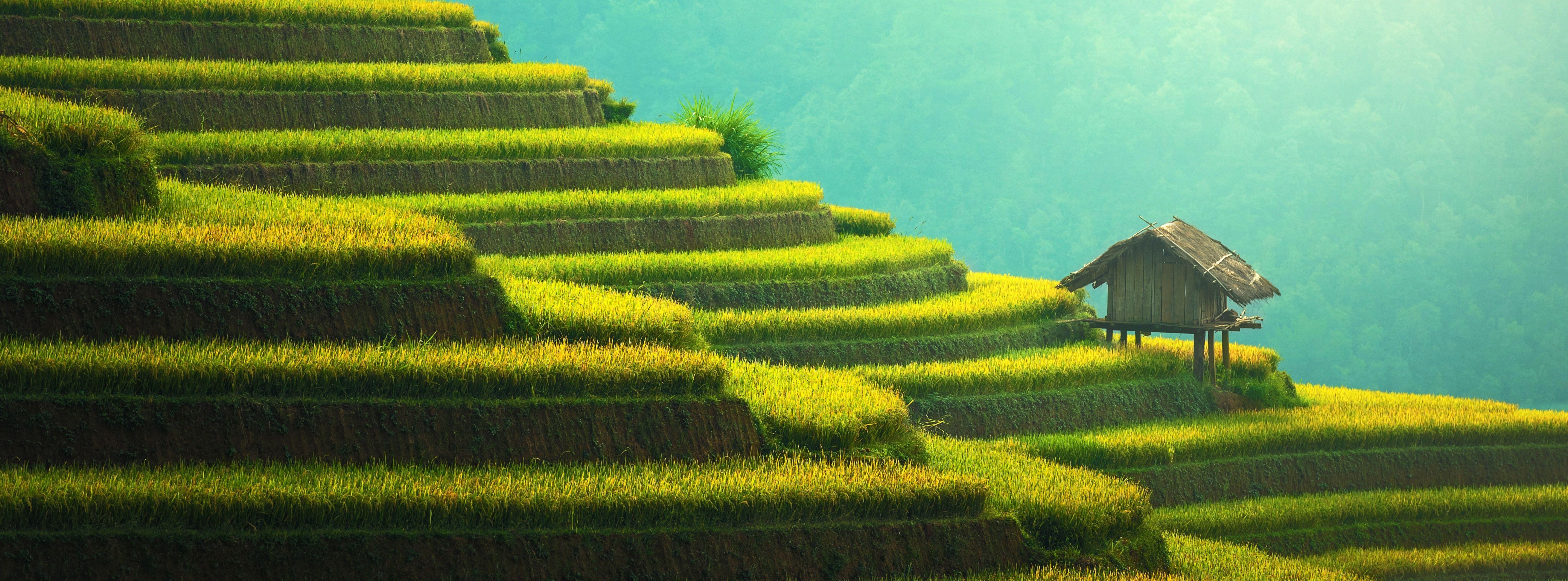 Rice Terraces HD Wallpapers - Top Free Rice Terraces HD Backgrounds ...