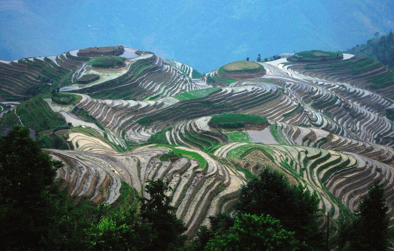 Rice Terraces HD Wallpapers - Top Free Rice Terraces HD Backgrounds ...