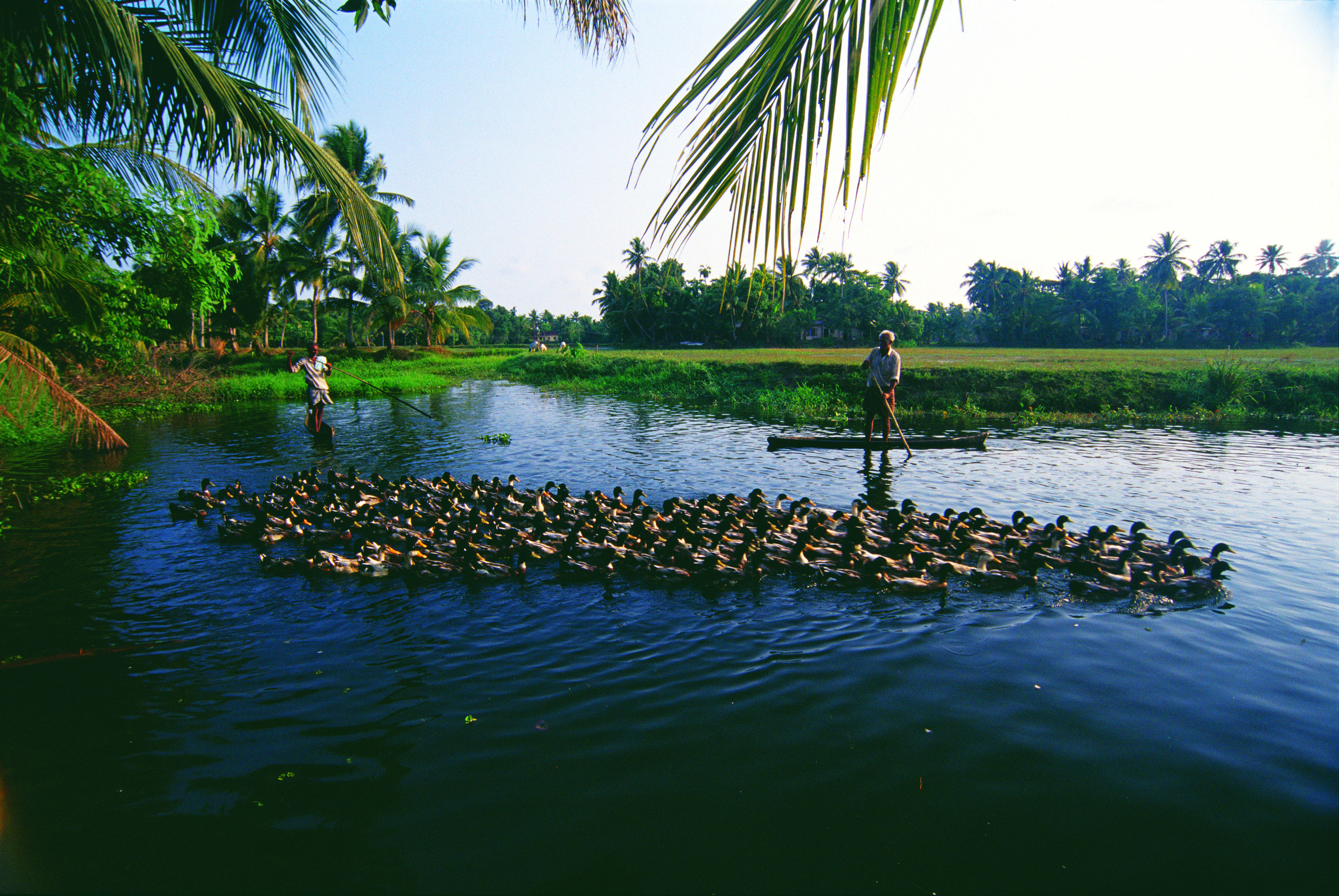 Kerala Backwaters Wallpapers - Top Free Kerala Backwaters Backgrounds ...