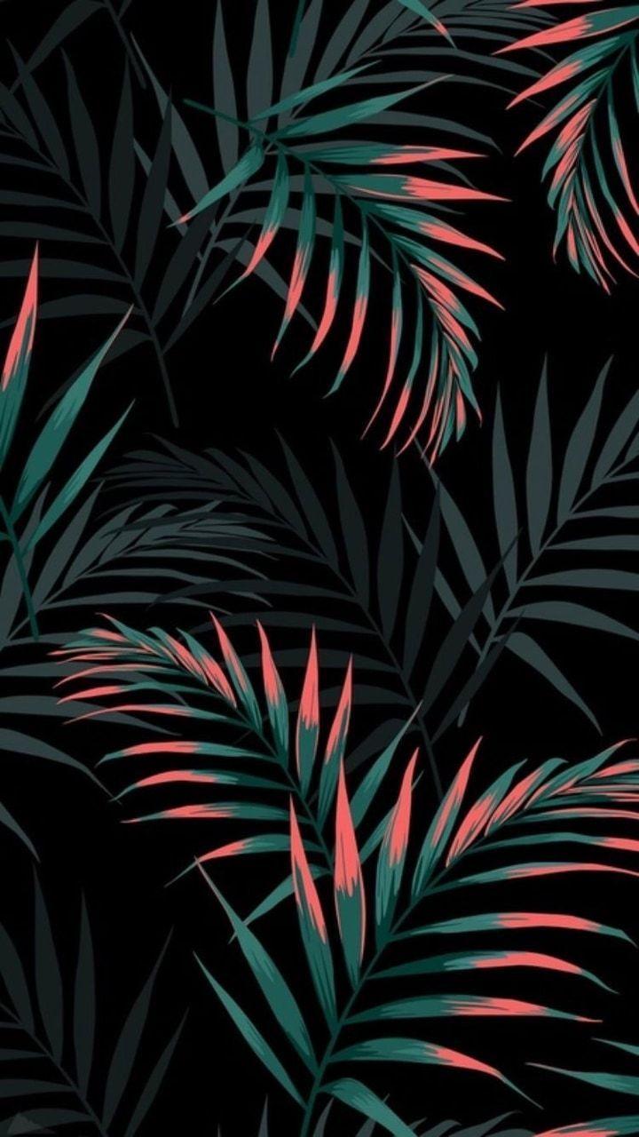 Tropical Phone Wallpapers - Top Free Tropical Phone Backgrounds ...