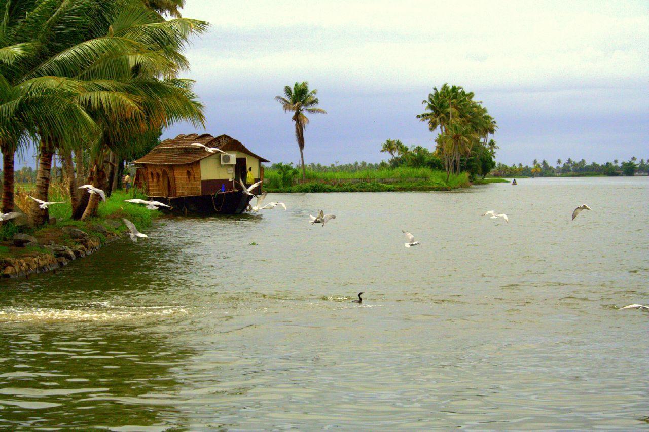 Kerala Backwaters Wallpapers - Top Free Kerala Backwaters Backgrounds ...