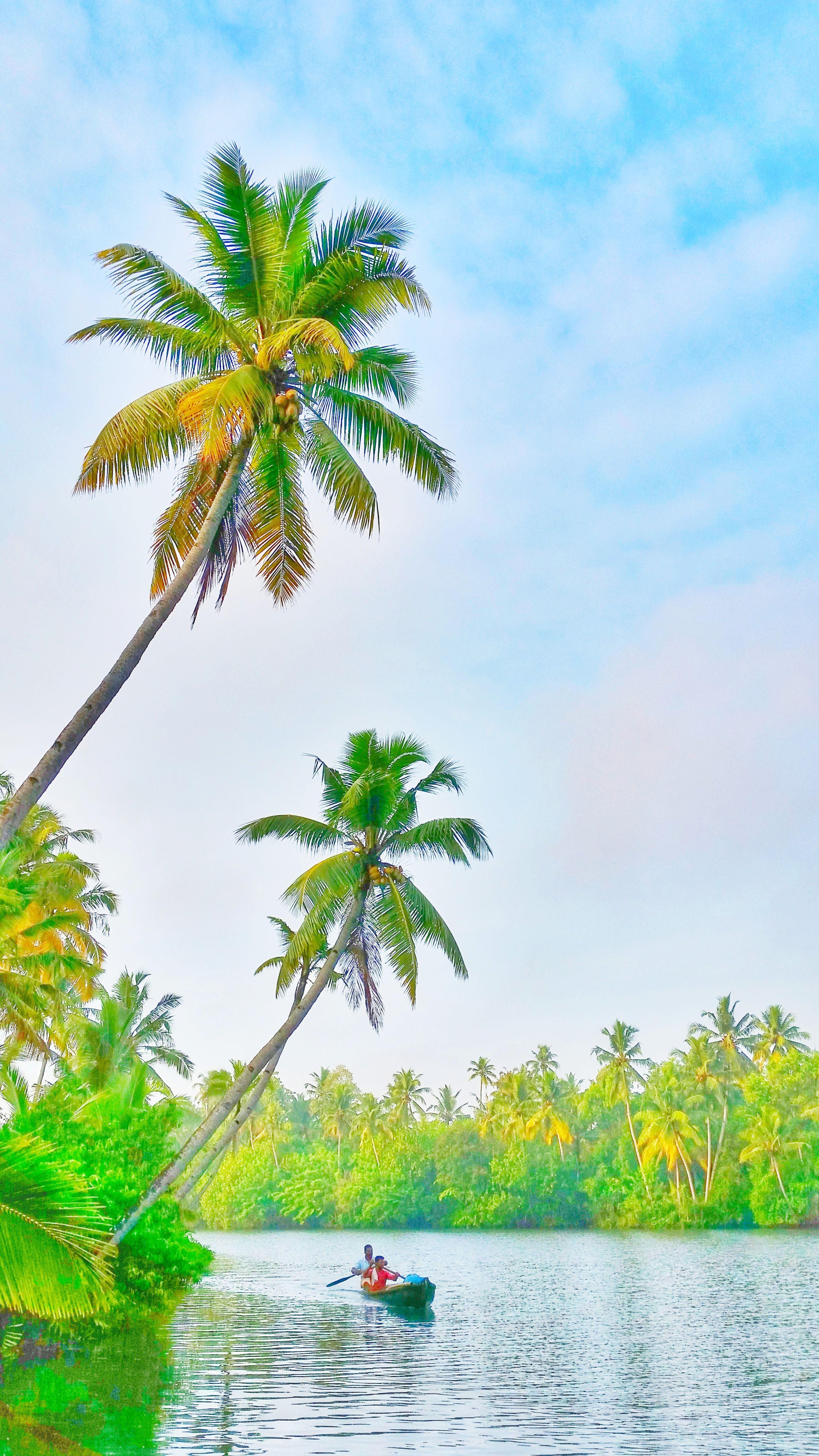 Kerala Backwaters Wallpapers - Top Free Kerala Backwaters Backgrounds ...