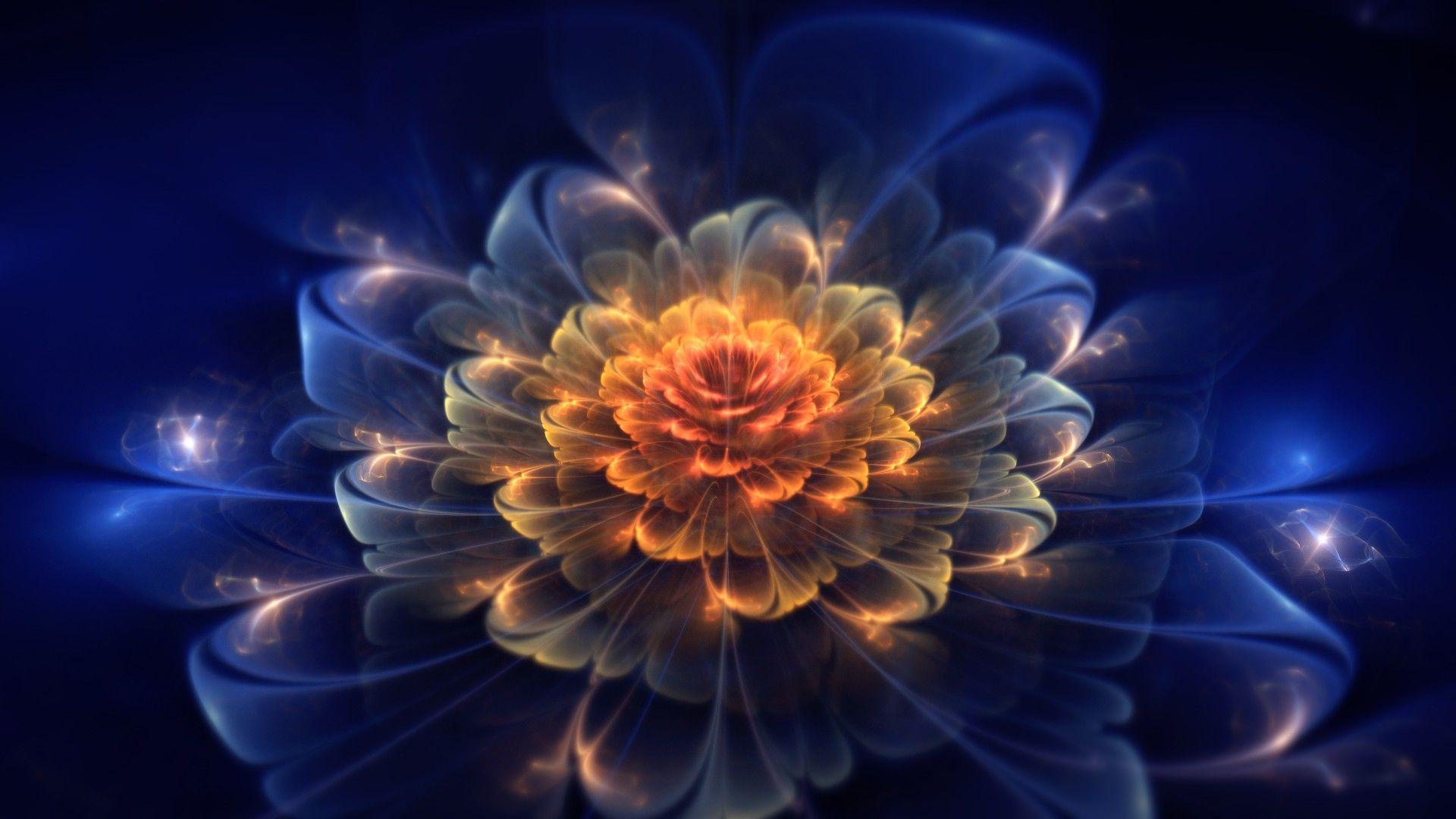 Fractal Flower Wallpapers - Top Free Fractal Flower Backgrounds ...